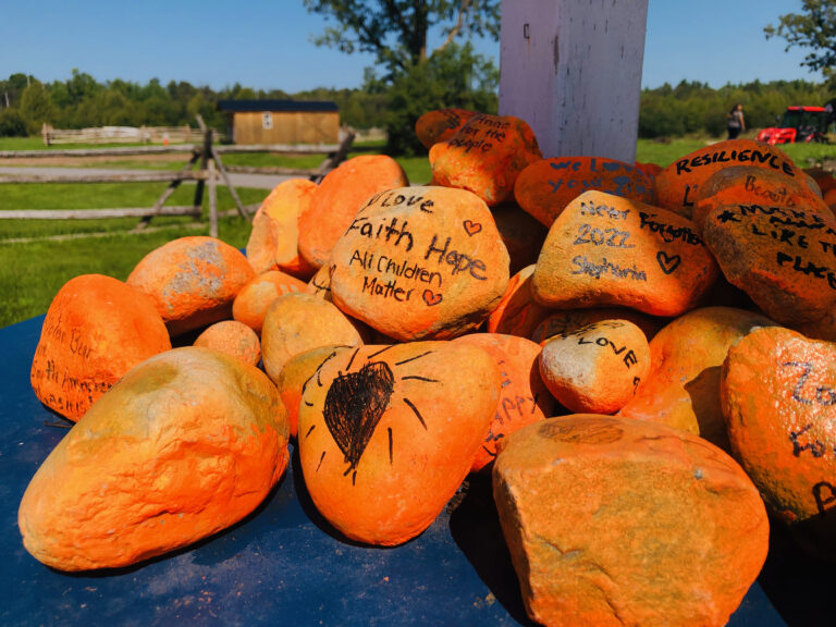 Ojibway spirit horses gallop into view | Canadian Geographic