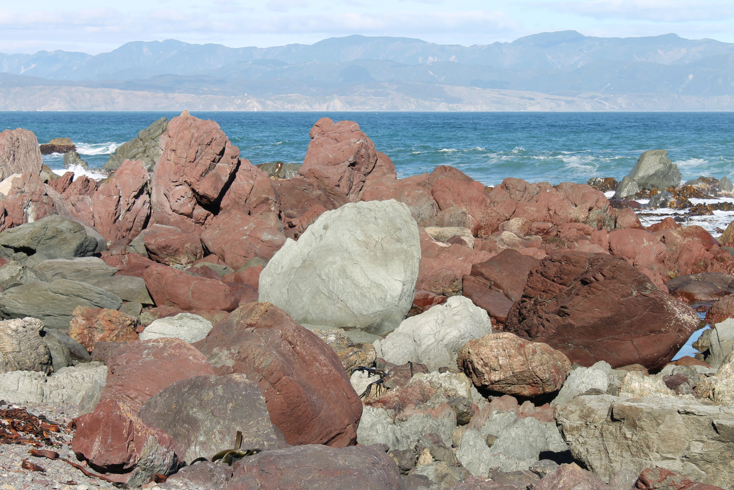 Three natural treasures hidden in New Zealand’s capital | Canadian ...