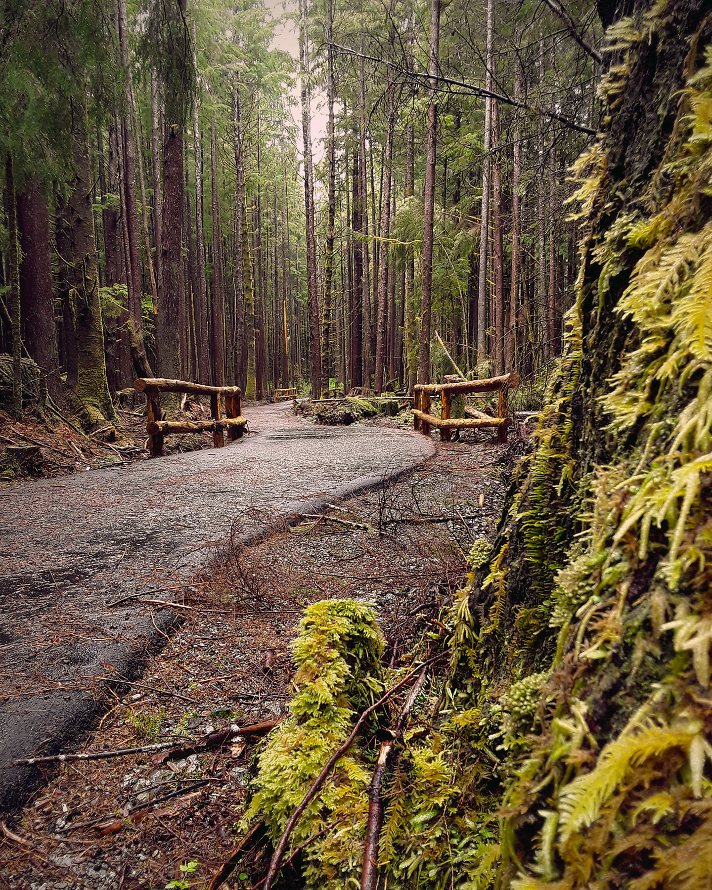 “Going the right direction on the path” ʔapsčiik t̓ašii trail opens in ...