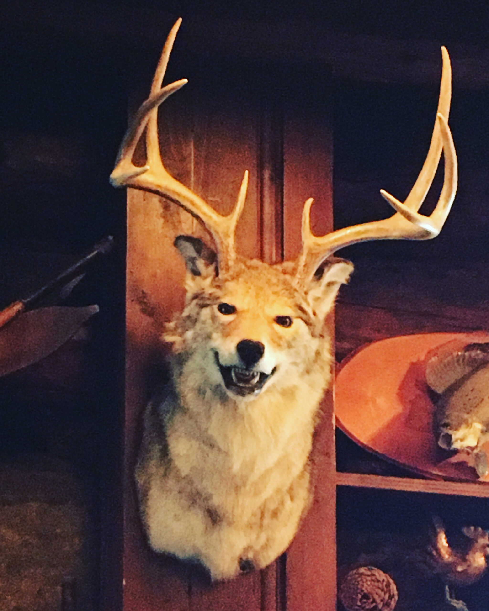 The Banff zodiac | Canadian Geographic