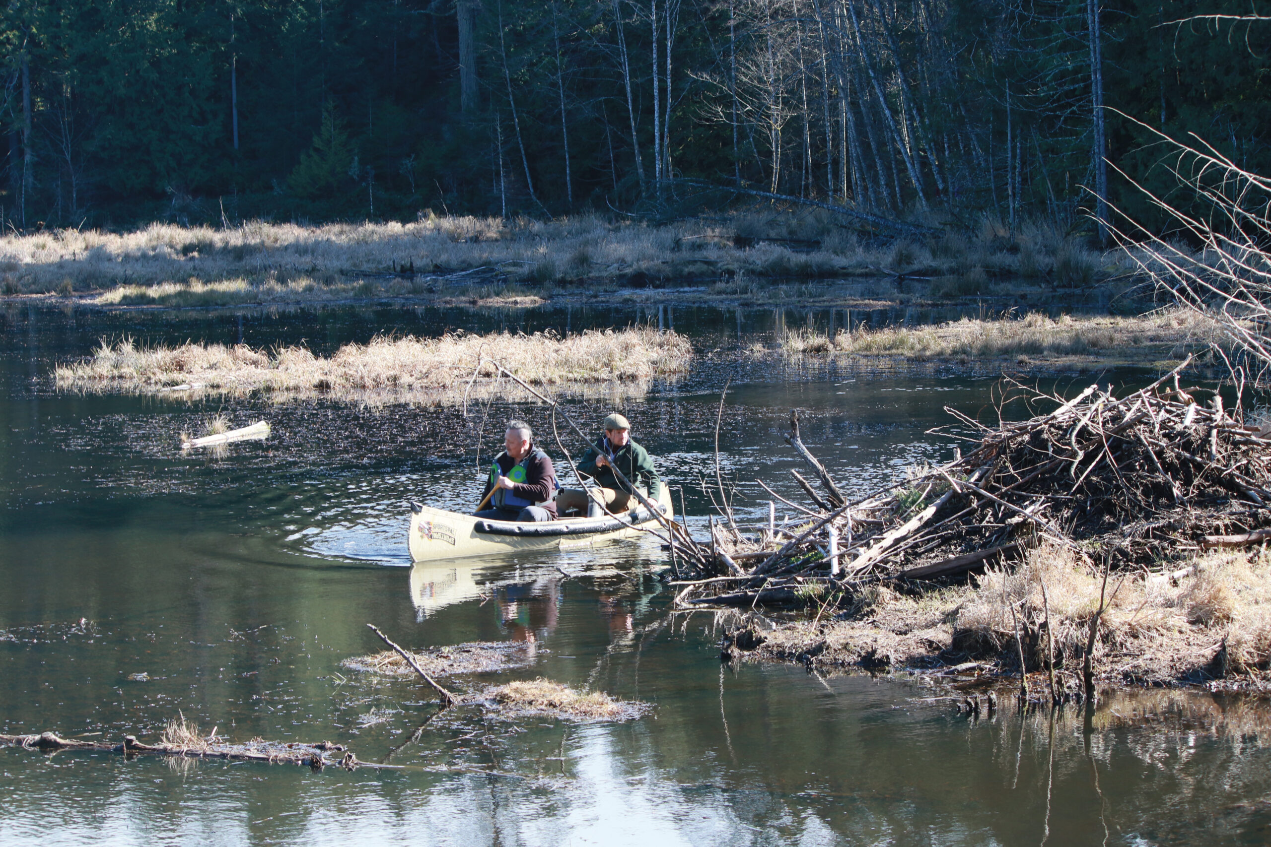 Bush cook meets chef: The unlikely duo behind the docu-series Moosemeat ...