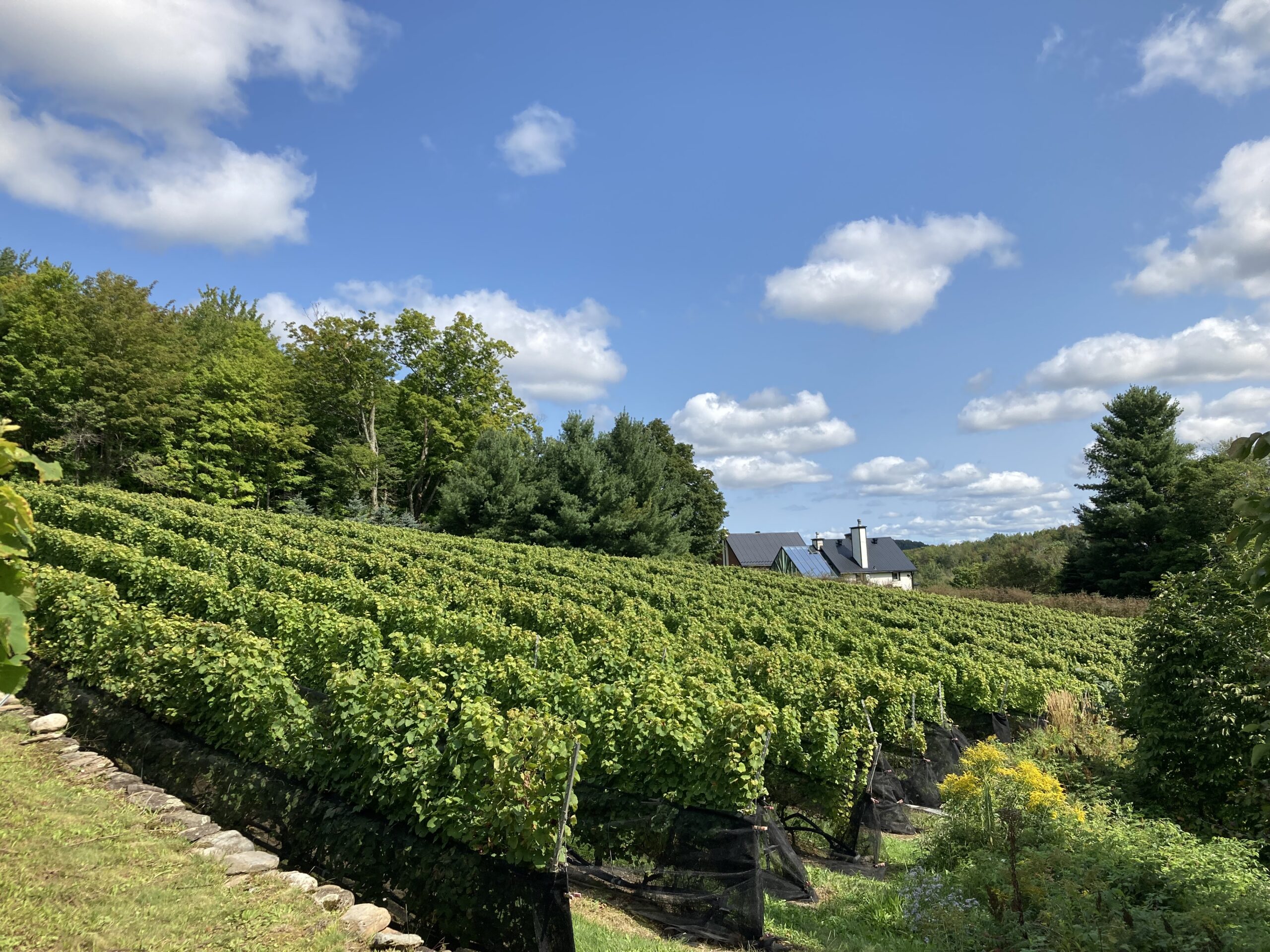 A farm-to-table tour of southern Quebec | Canadian Geographic