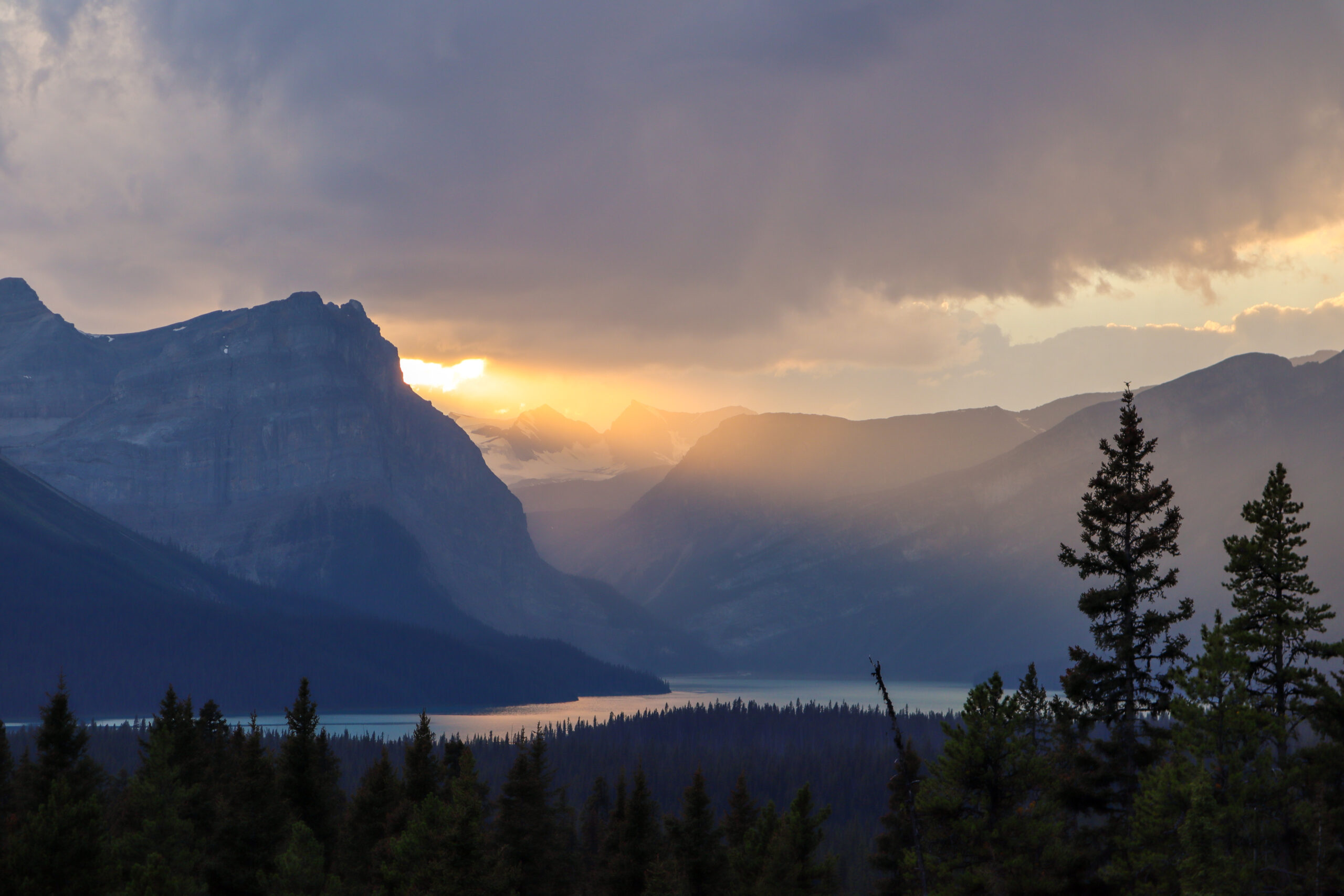 A light at the end of the summit: Historic climate deal sealed at COP27 ...