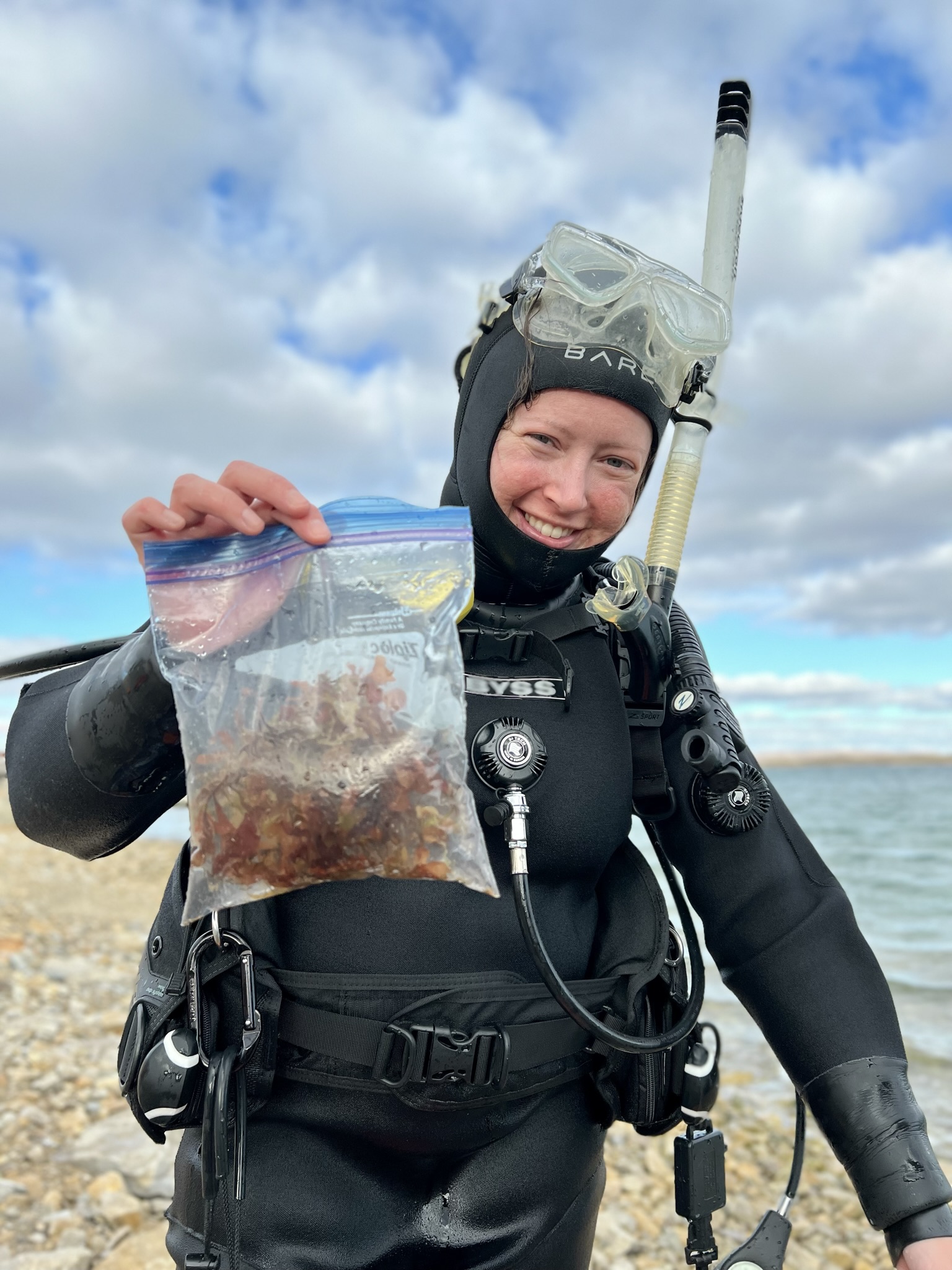 Searching for seaweed in Canada’s Western Arctic | Canadian Geographic