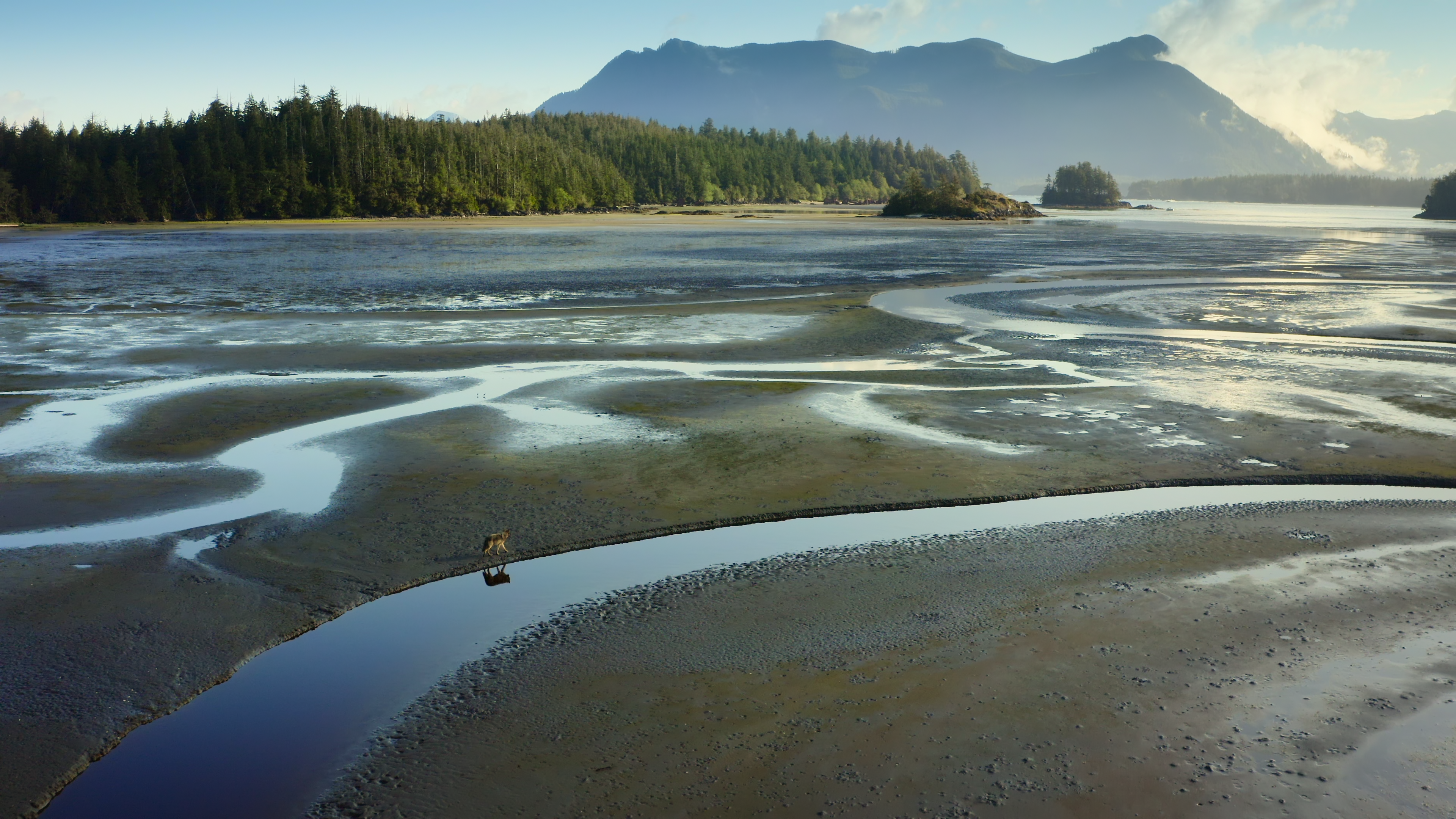 Island of the Sea Wolves: behind the scenes of the Netflix hit series ...