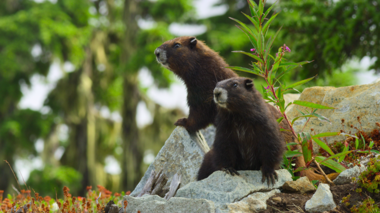 Island of the Sea Wolves: behind the scenes of the Netflix hit series ...