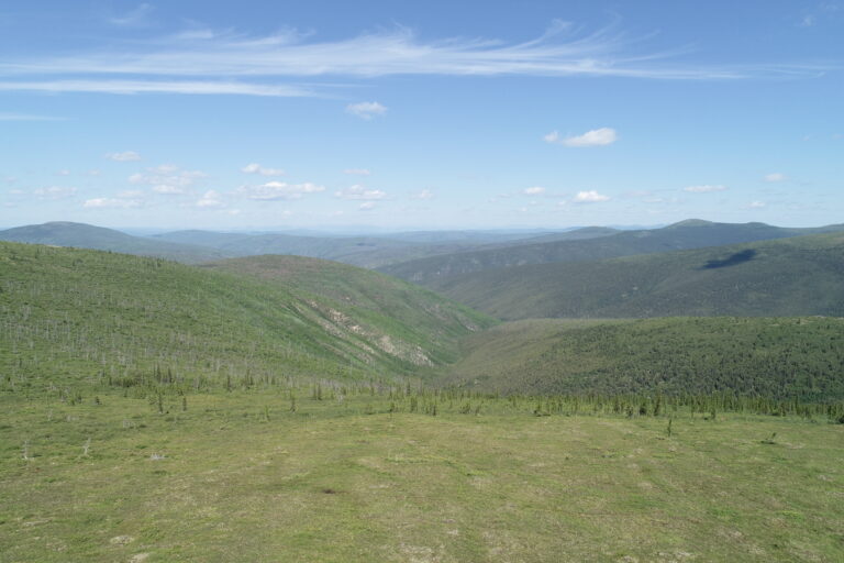 Climate change is affecting vegetation in Yukon. What should we do ...