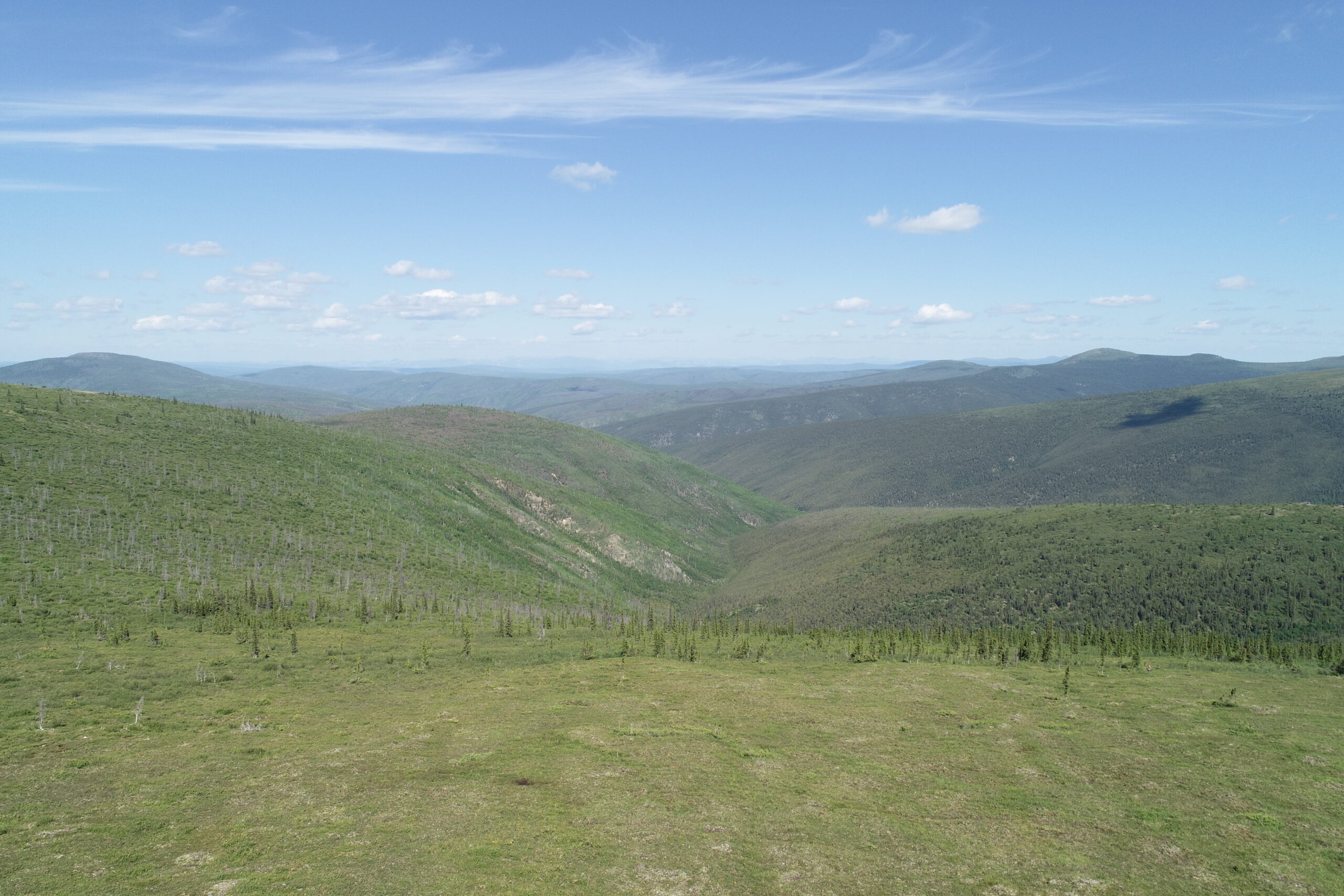 Climate change is affecting vegetation in Yukon. What should we do ...