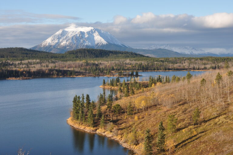 Climate change is affecting vegetation in Yukon. What should we do ...