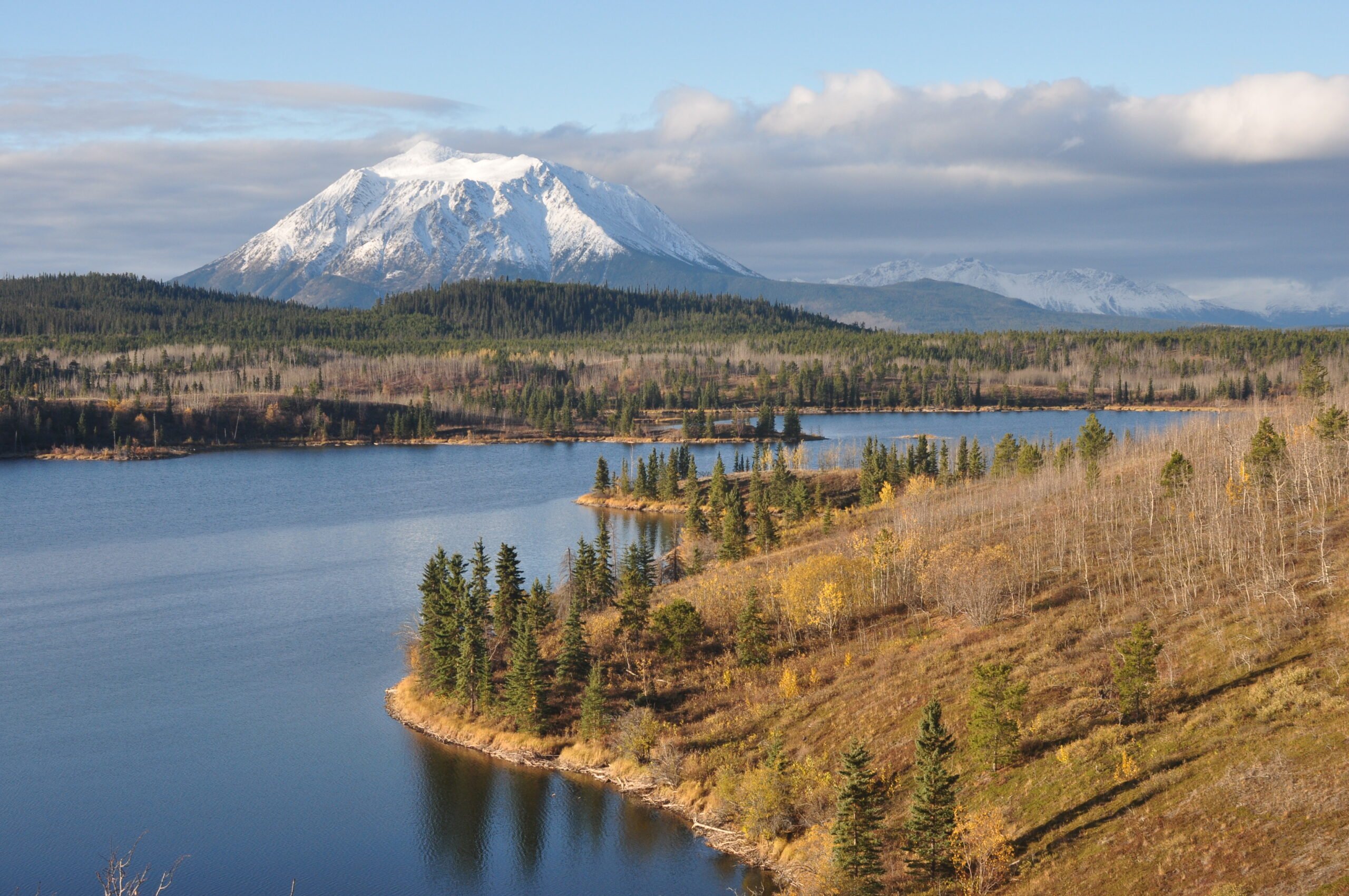 Climate change is affecting vegetation in Yukon. What should we do ...