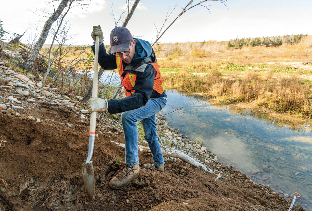 The discovery of Nova Scotia’s ancient giants | Canadian Geographic