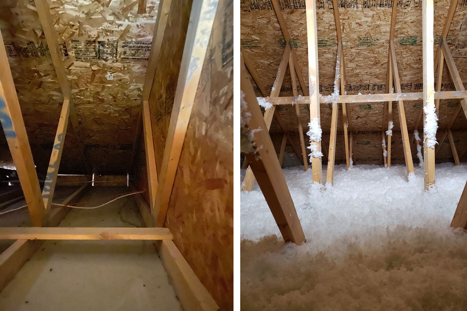 Live Net Zero: How well does your home hold in heat? | Canadian Geographic