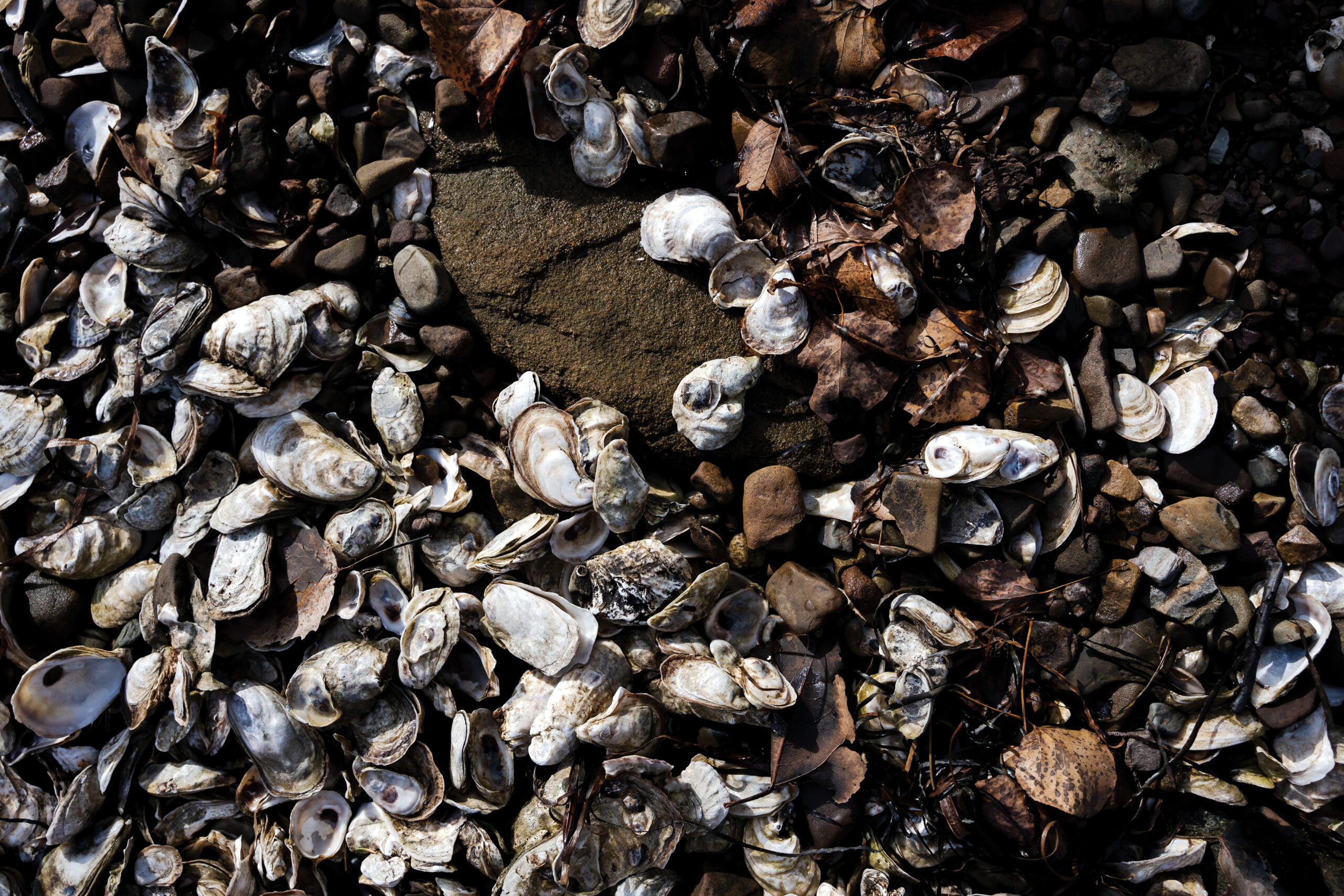 Farming a changing sea | Canadian Geographic