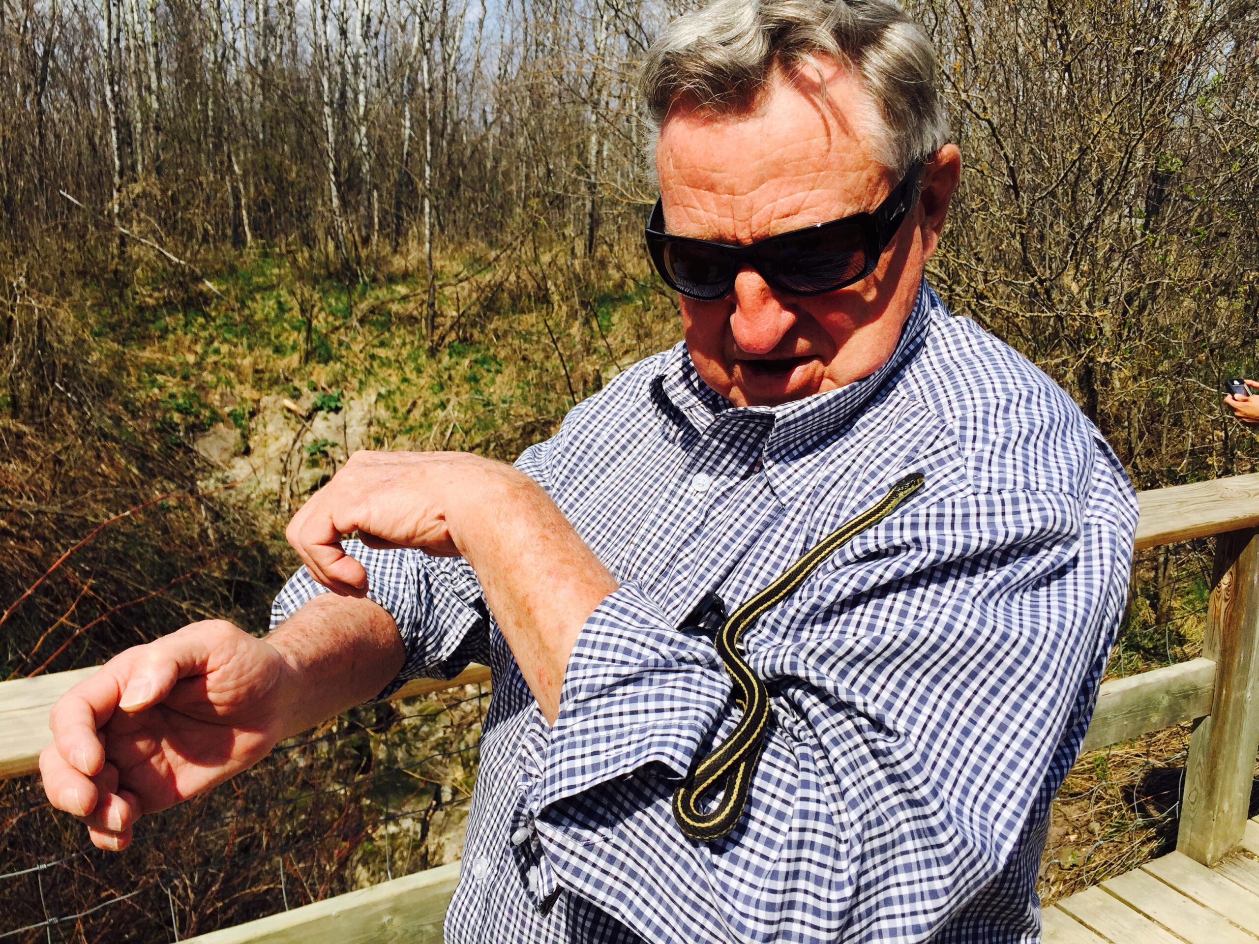 Snakes on a plain: a visit to Manitoba’s Narcisse Snake Dens | Canadian ...