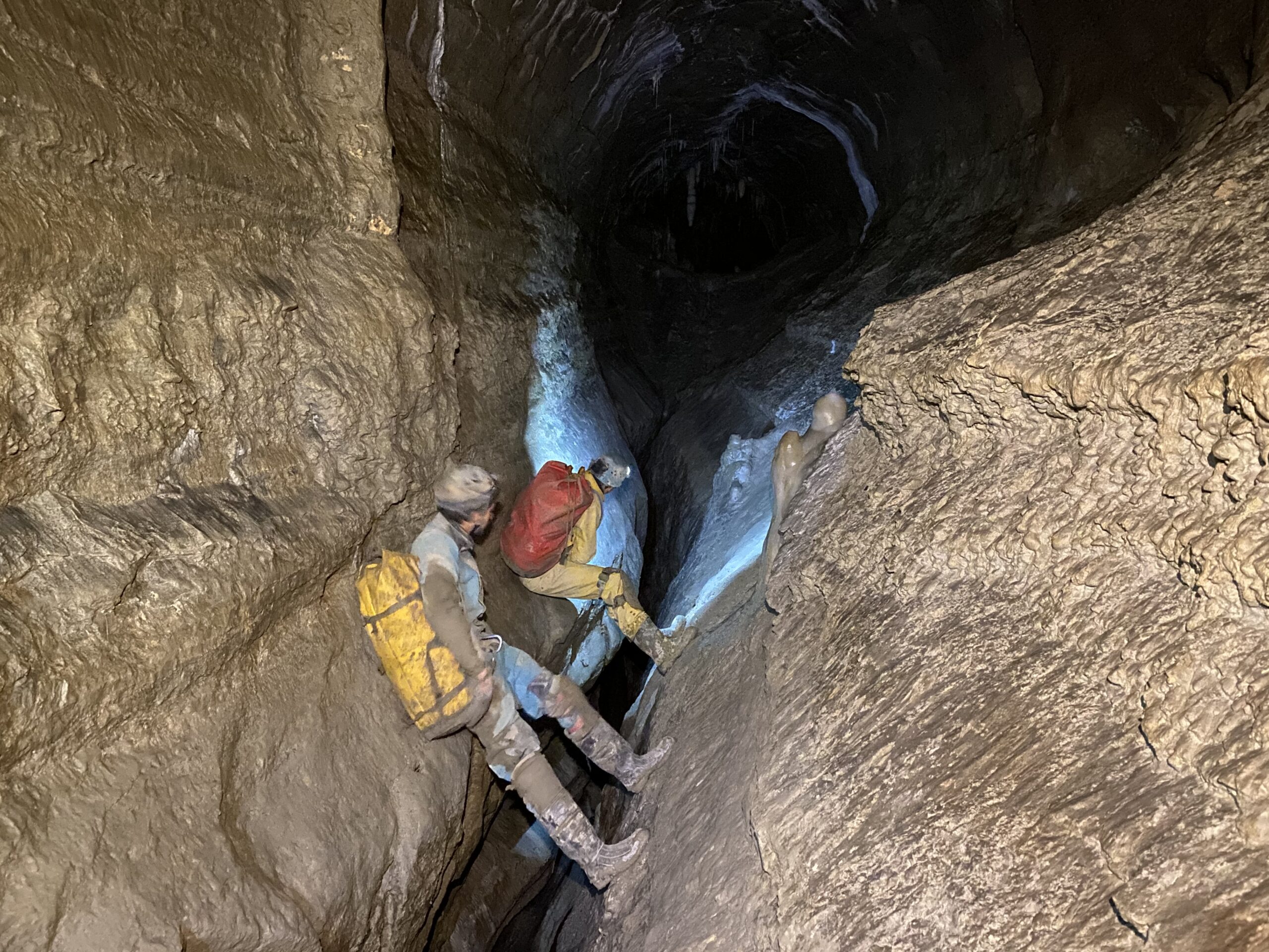 Castleguard Cave recognized as a globally significant Key Biodiversity ...