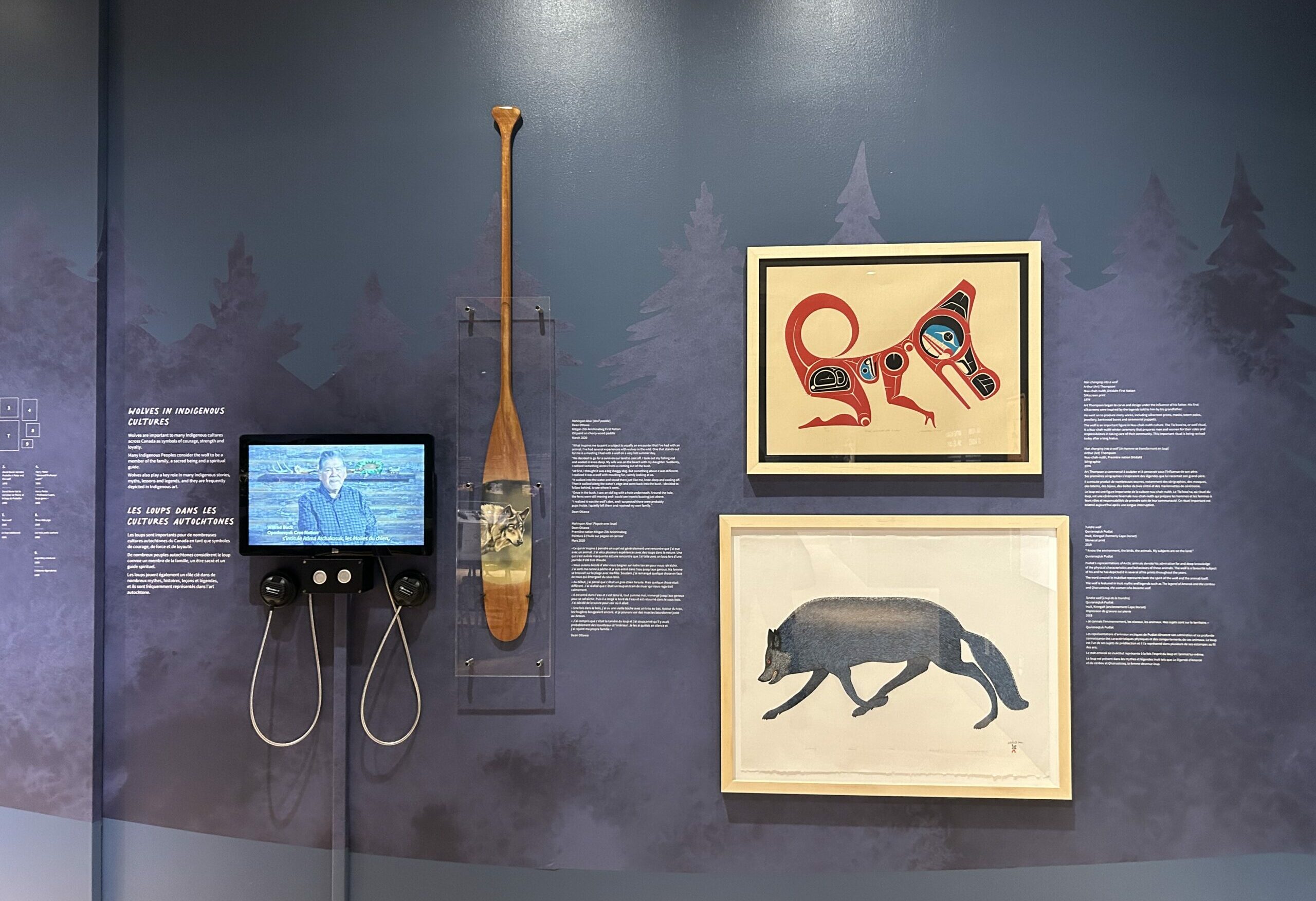 Wolves exhibition opens at the Canadian Museum of Nature | Canadian ...