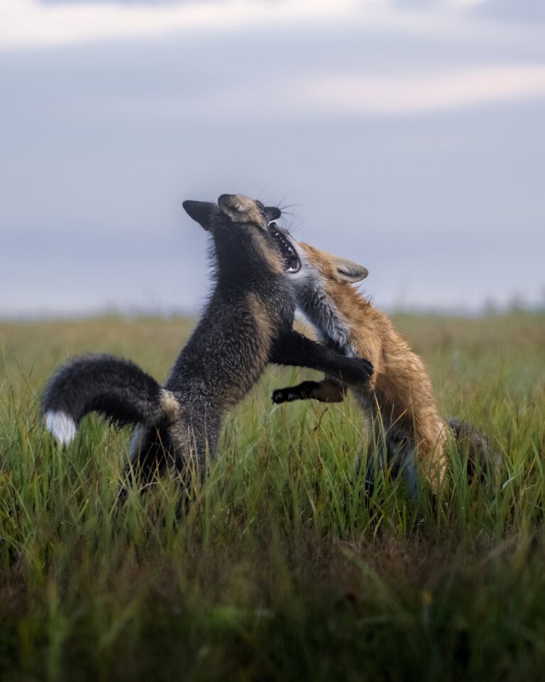 Photos: The wild, wonderful landscapes of western Newfoundland ...