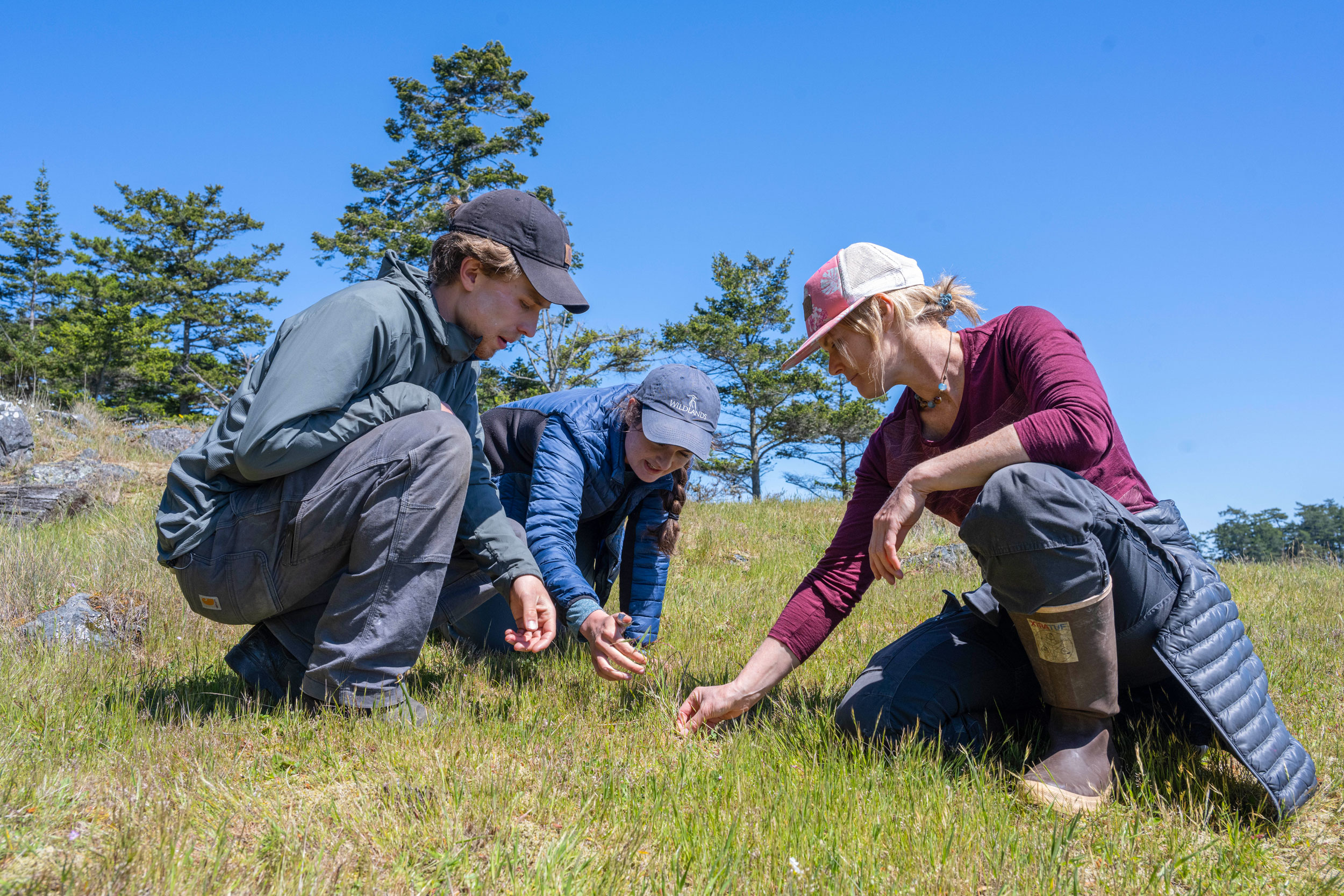 Giving Bambi the boot | Canadian Geographic