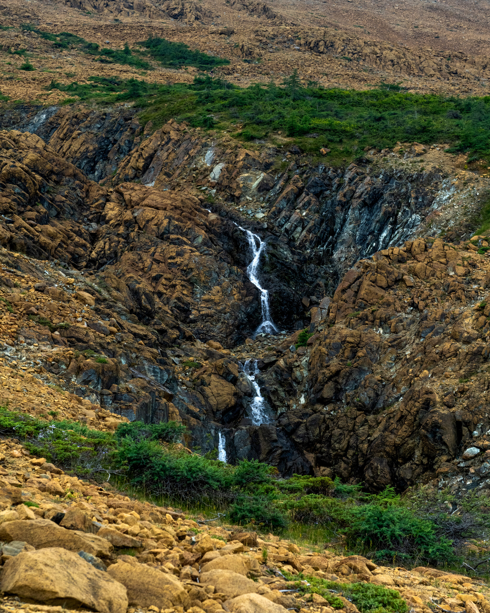 Photos: The wild, wonderful landscapes of western Newfoundland ...