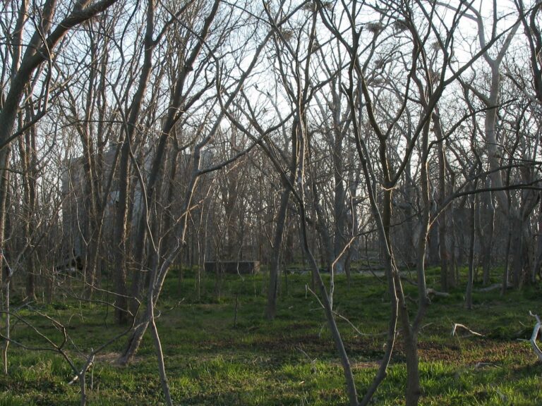 Rum-runners’ island: The fascinating story of Canada’s southernmost ...