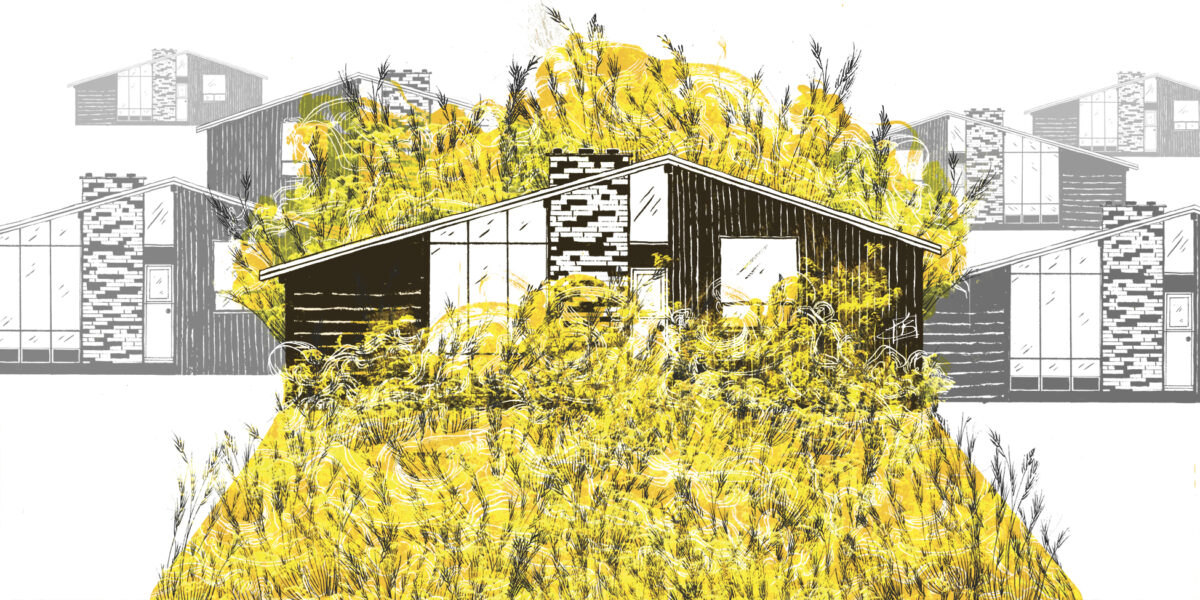 Our shared garden: The importance of native plants | Canadian Geographic