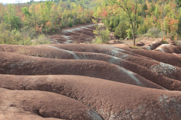 Deserts in Canada? A look at some of the country’s most desert-like ...