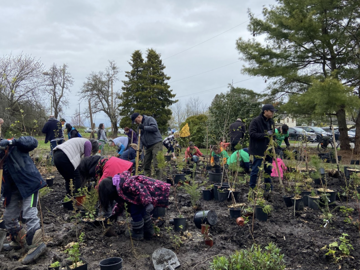 Network of Nature and Green Communities Canada launch National Mini ...