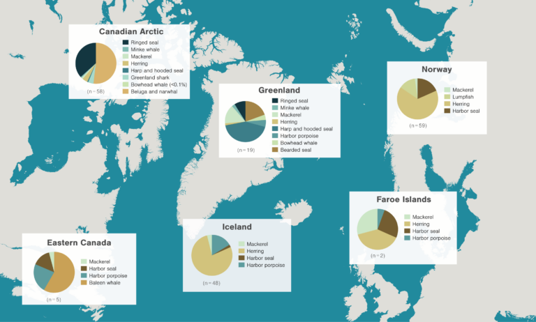 In graphic detail: What’s on the menu for killer whales? | Canadian ...