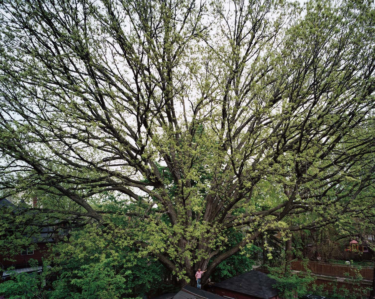 Toronto as Community: Fifty Years of Photographs | Canadian Geographic