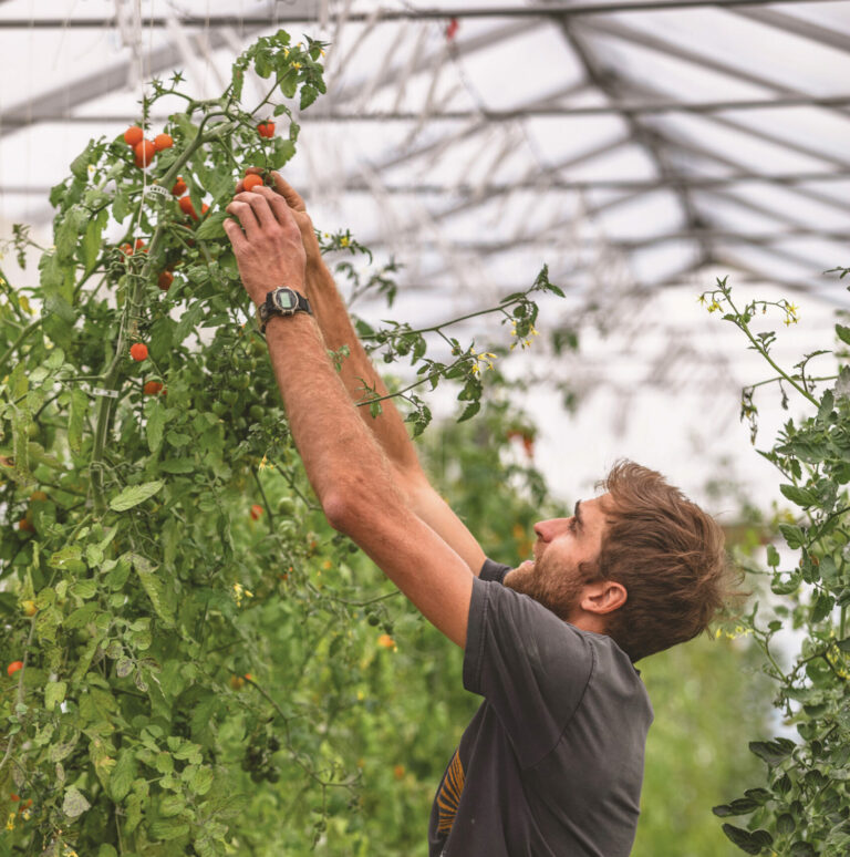 Farming the Greenbelt: five farms to visit in Ottawa | Canadian Geographic