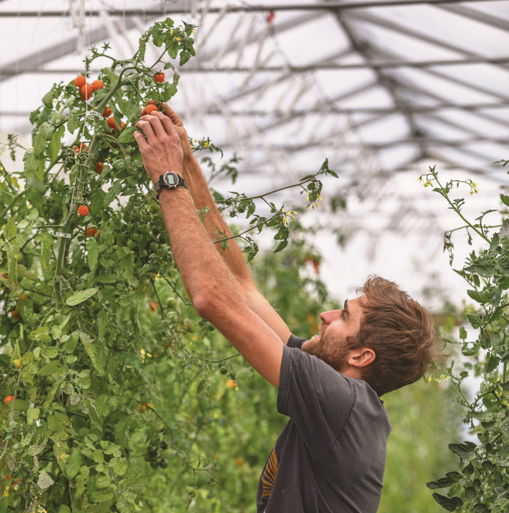 Farming the Greenbelt: five farms to visit in Ottawa | Canadian Geographic