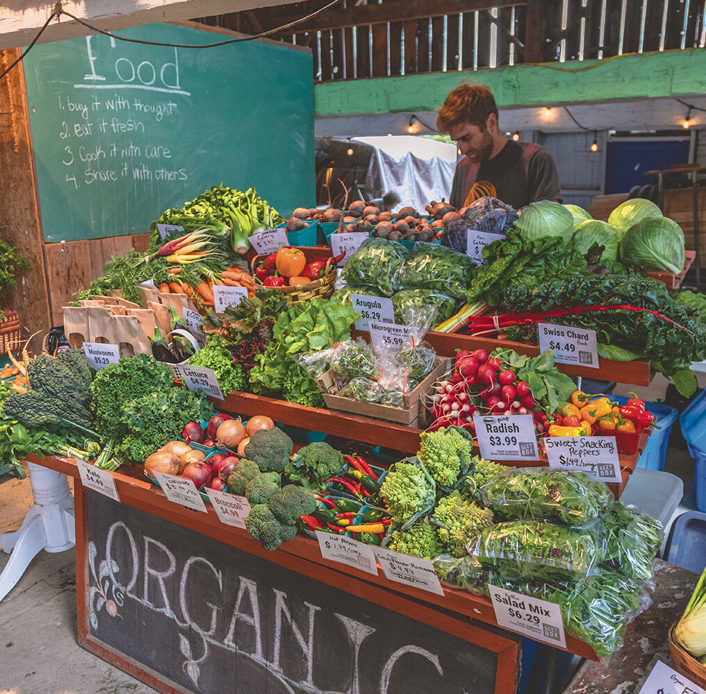 Farming the Greenbelt: five farms to visit in Ottawa | Canadian Geographic