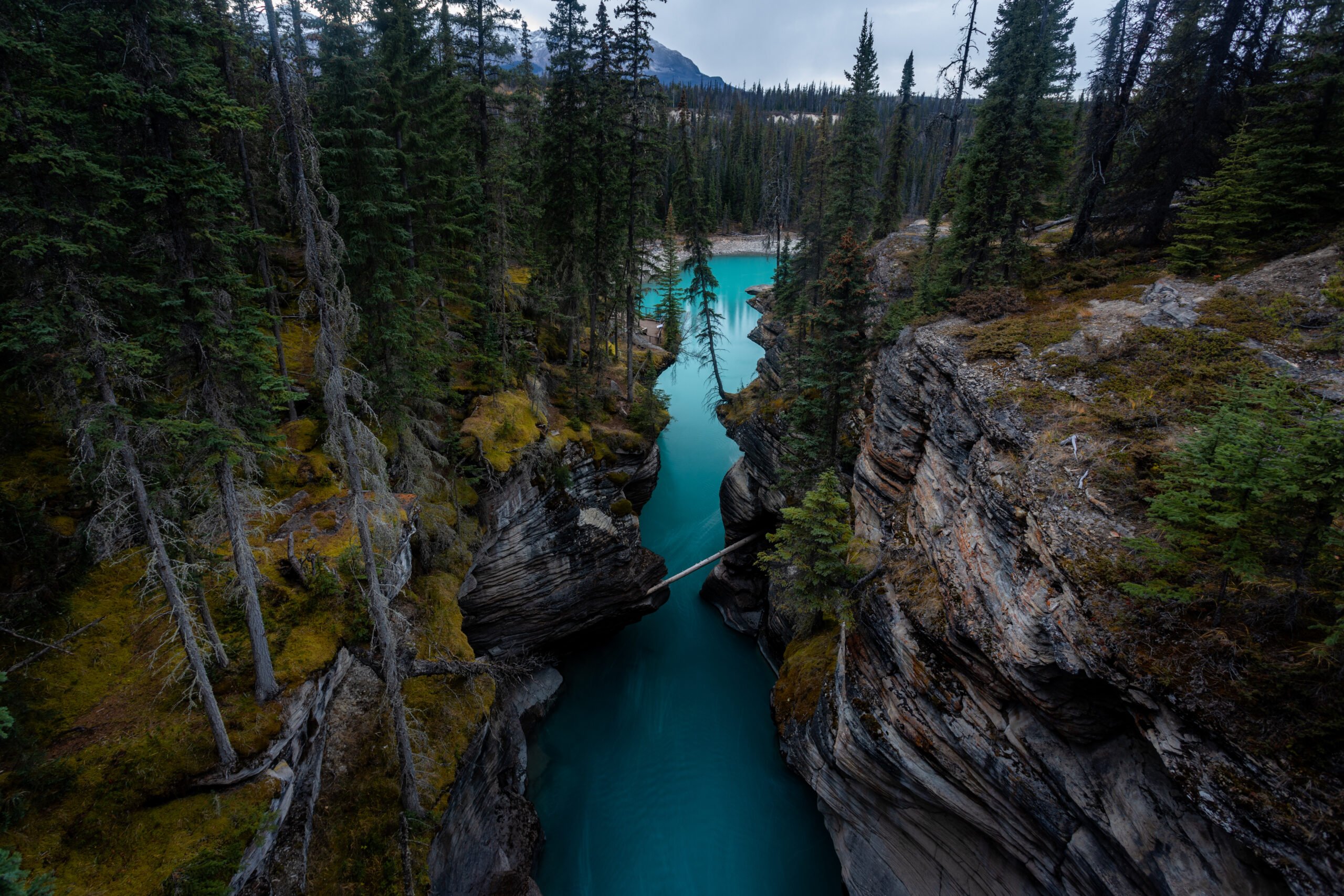 Under a sea of stars | Canadian Geographic