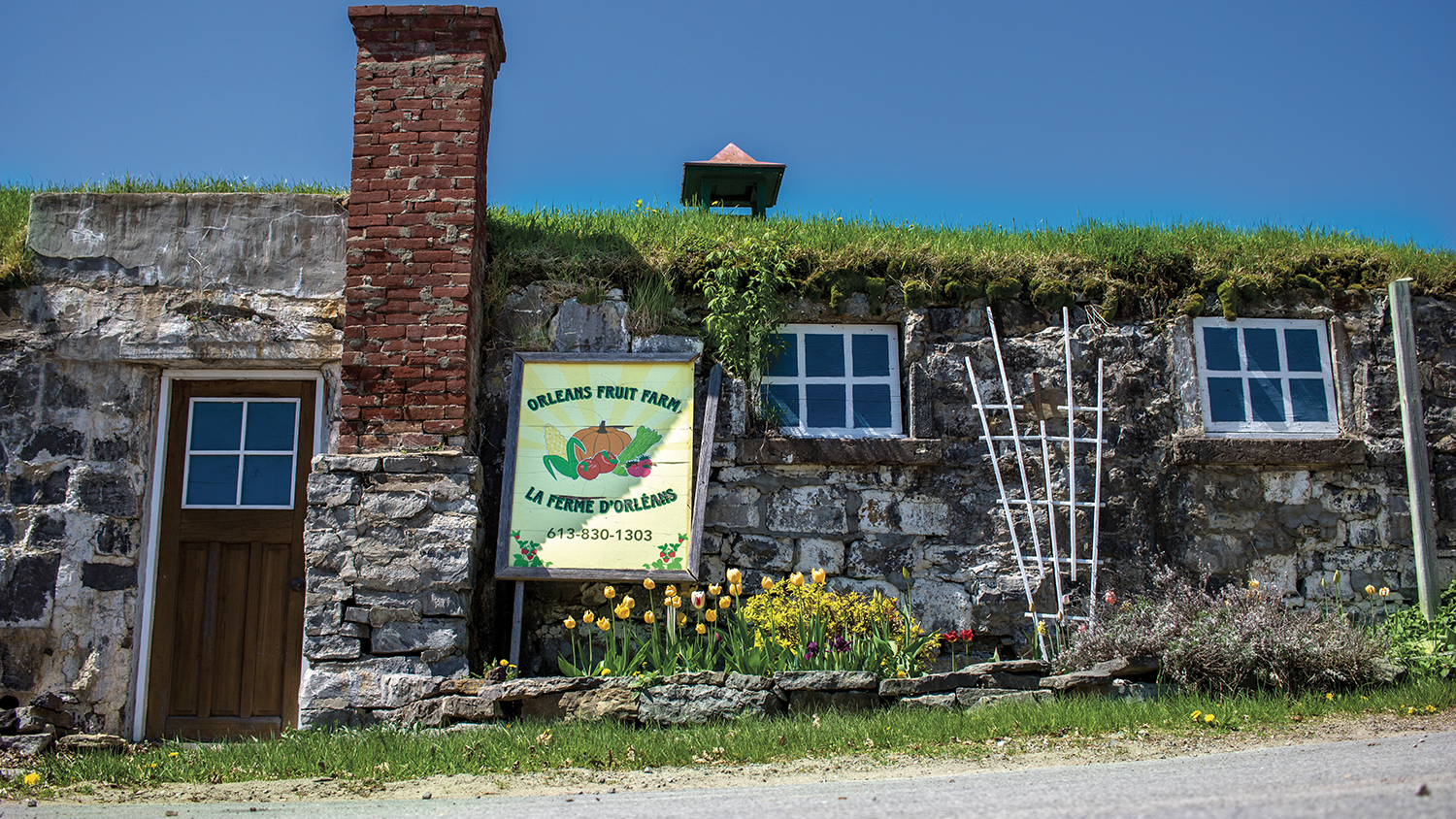 Farming the Greenbelt: five farms to visit in Ottawa | Canadian Geographic