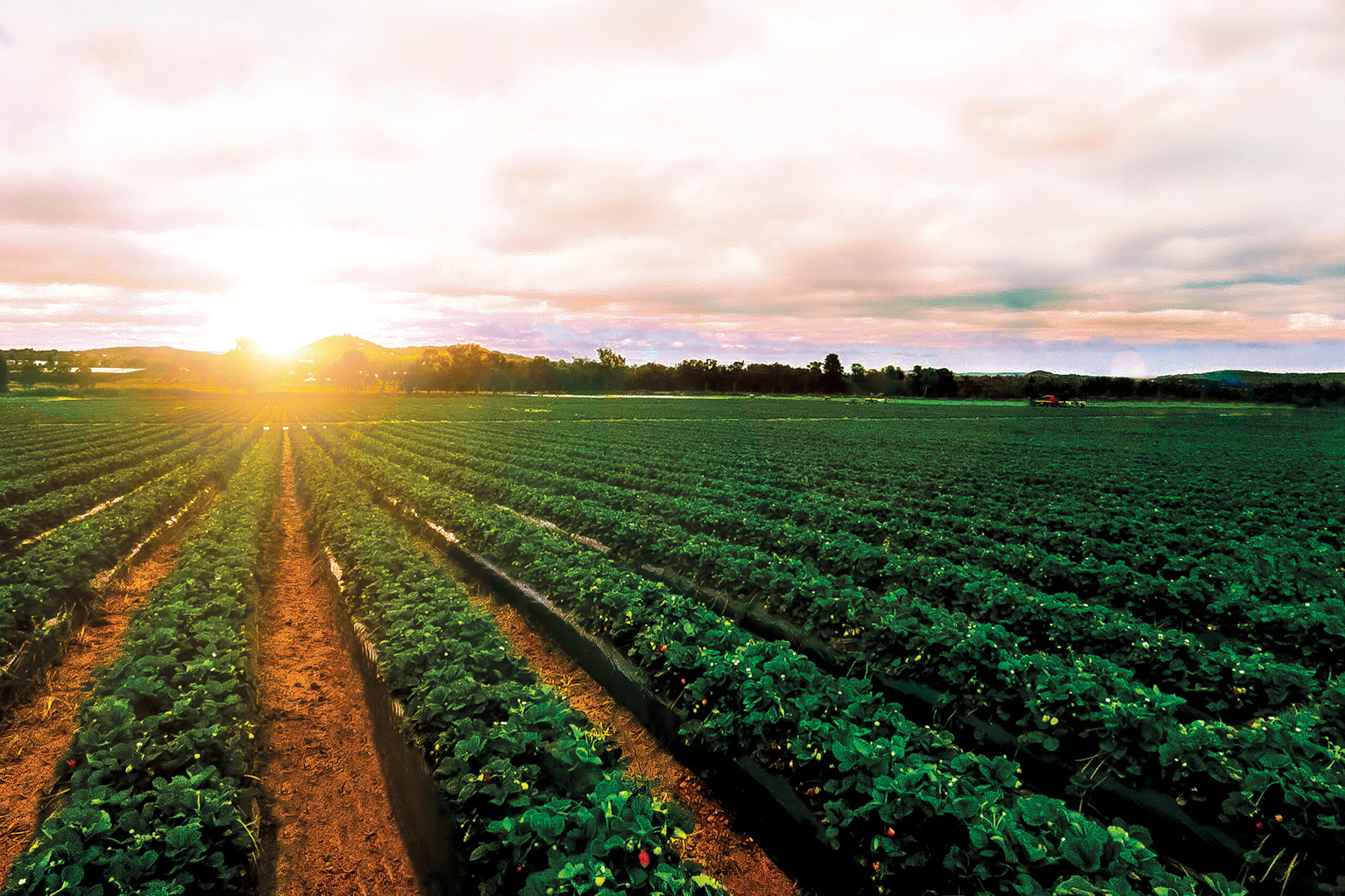 Farming the Greenbelt: five farms to visit in Ottawa | Canadian Geographic