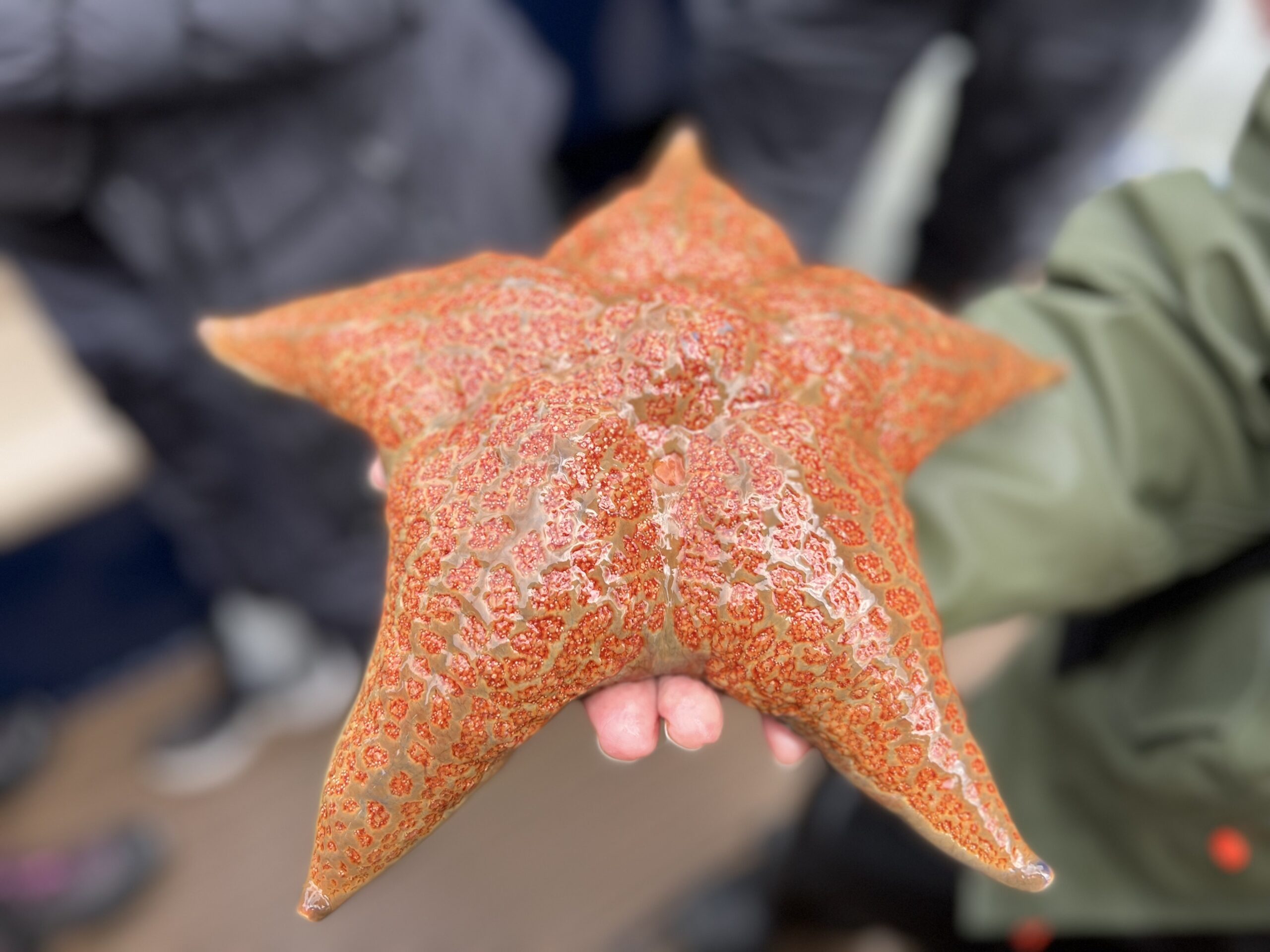 Kim Gray shares her journey chasing wonder in Haida Gwaii | Canadian ...