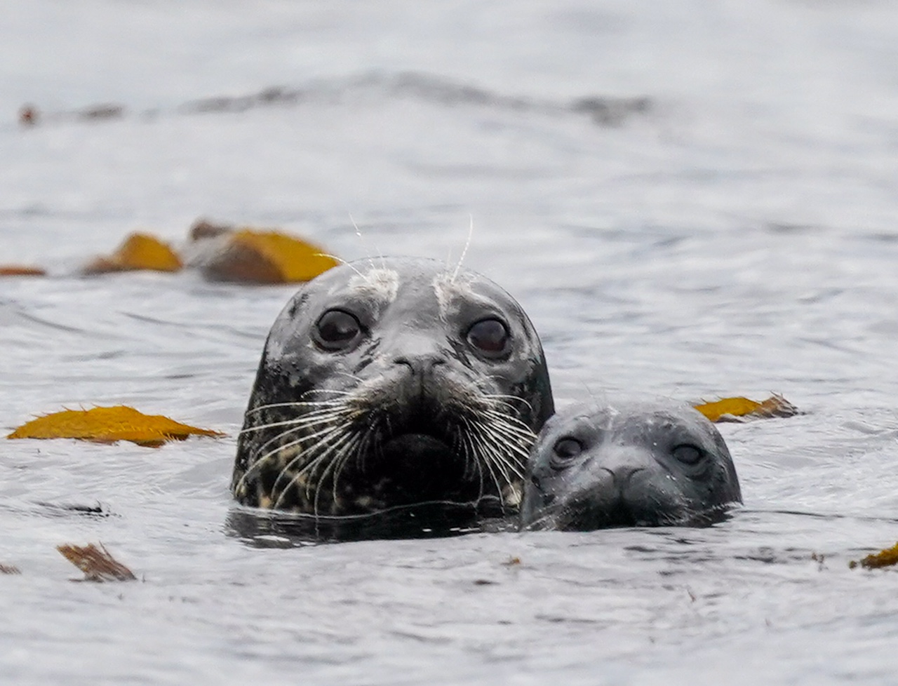 Kim Gray shares her journey chasing wonder in Haida Gwaii | Canadian ...