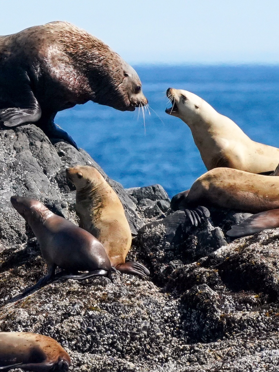 Kim Gray shares her journey chasing wonder in Haida Gwaii | Canadian ...