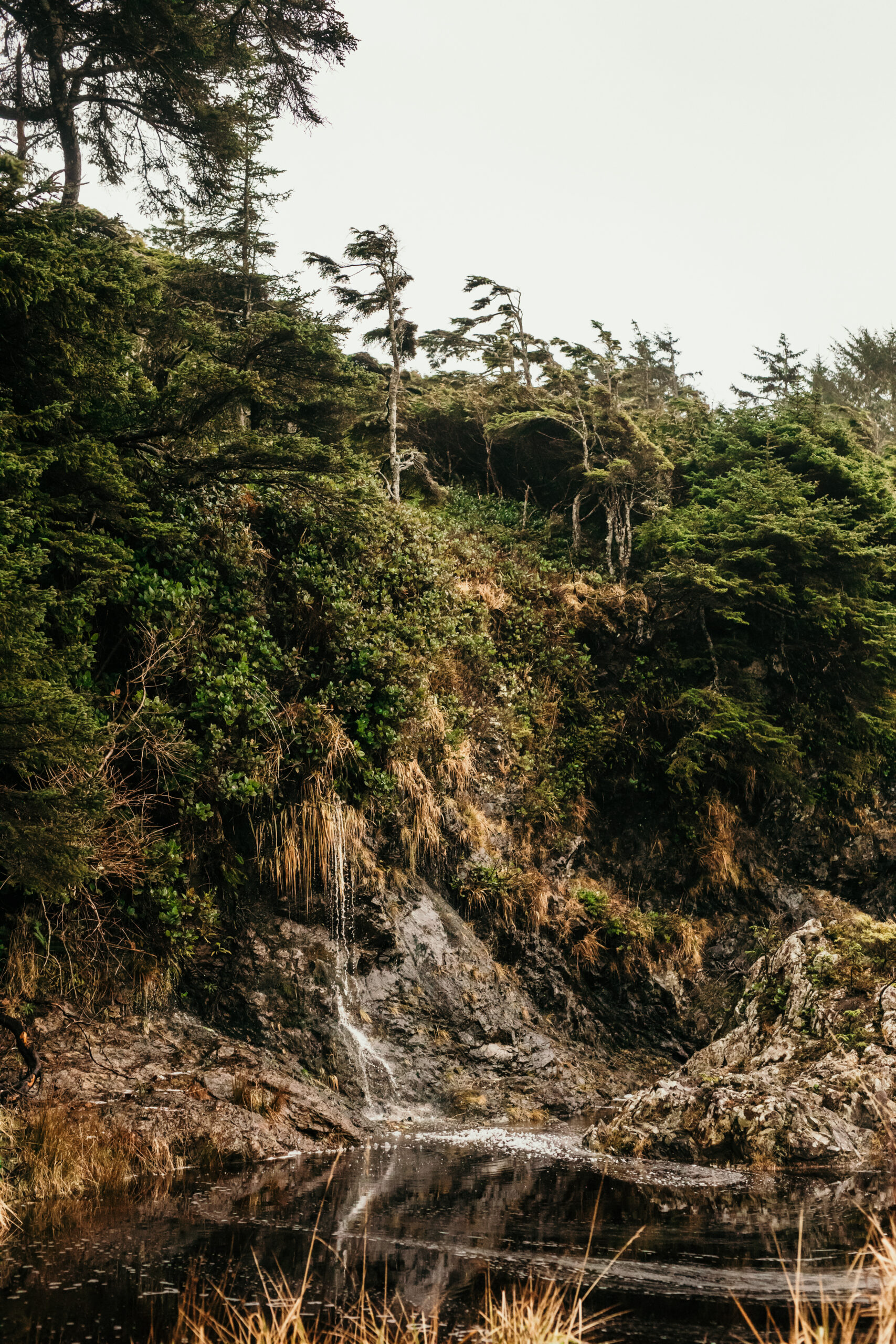 Opinion: Environmental racism and Canada’s wildfires | Canadian Geographic