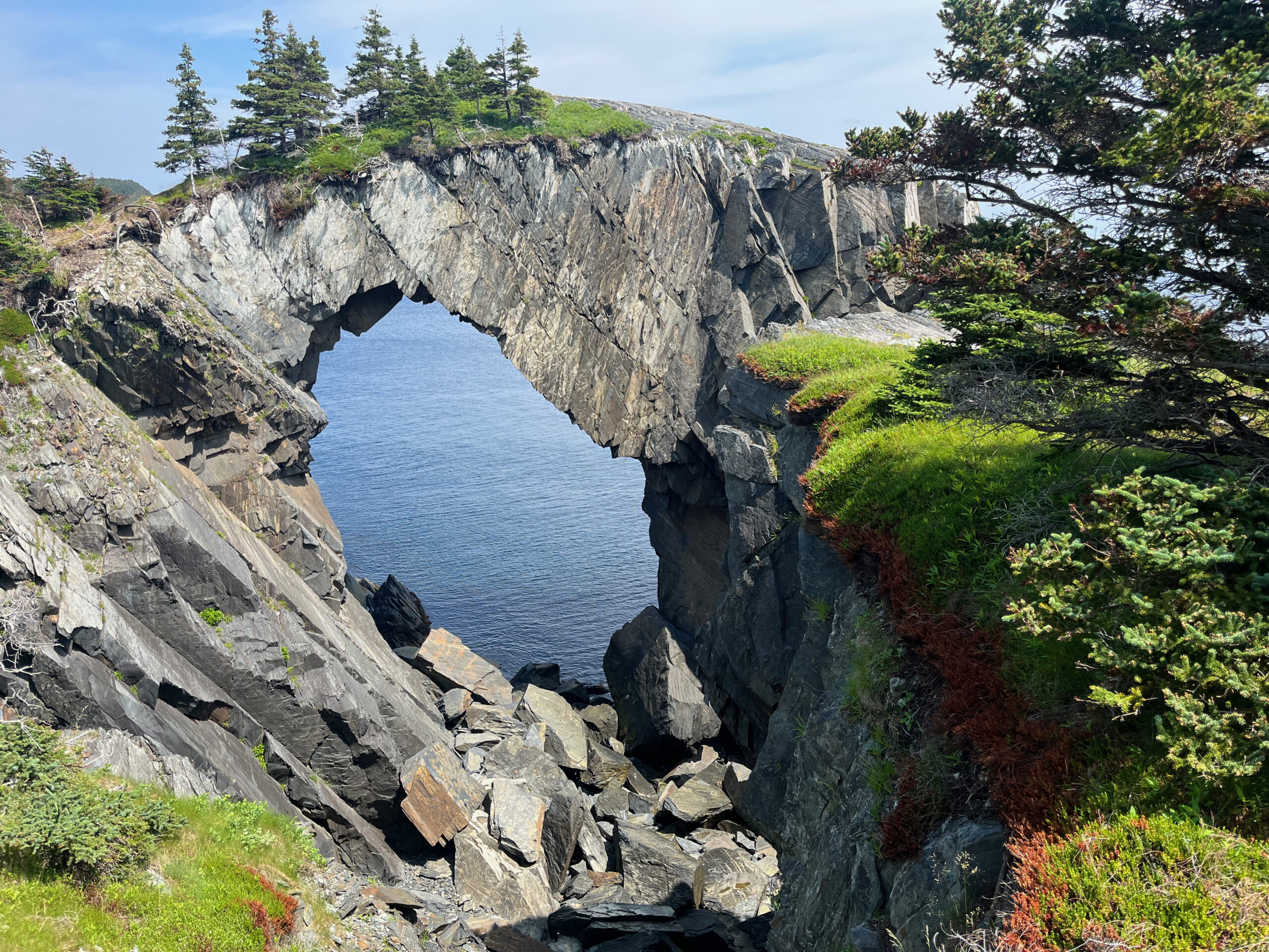 Celebrating life on Newfoundland’s East Coast Trail | Canadian Geographic