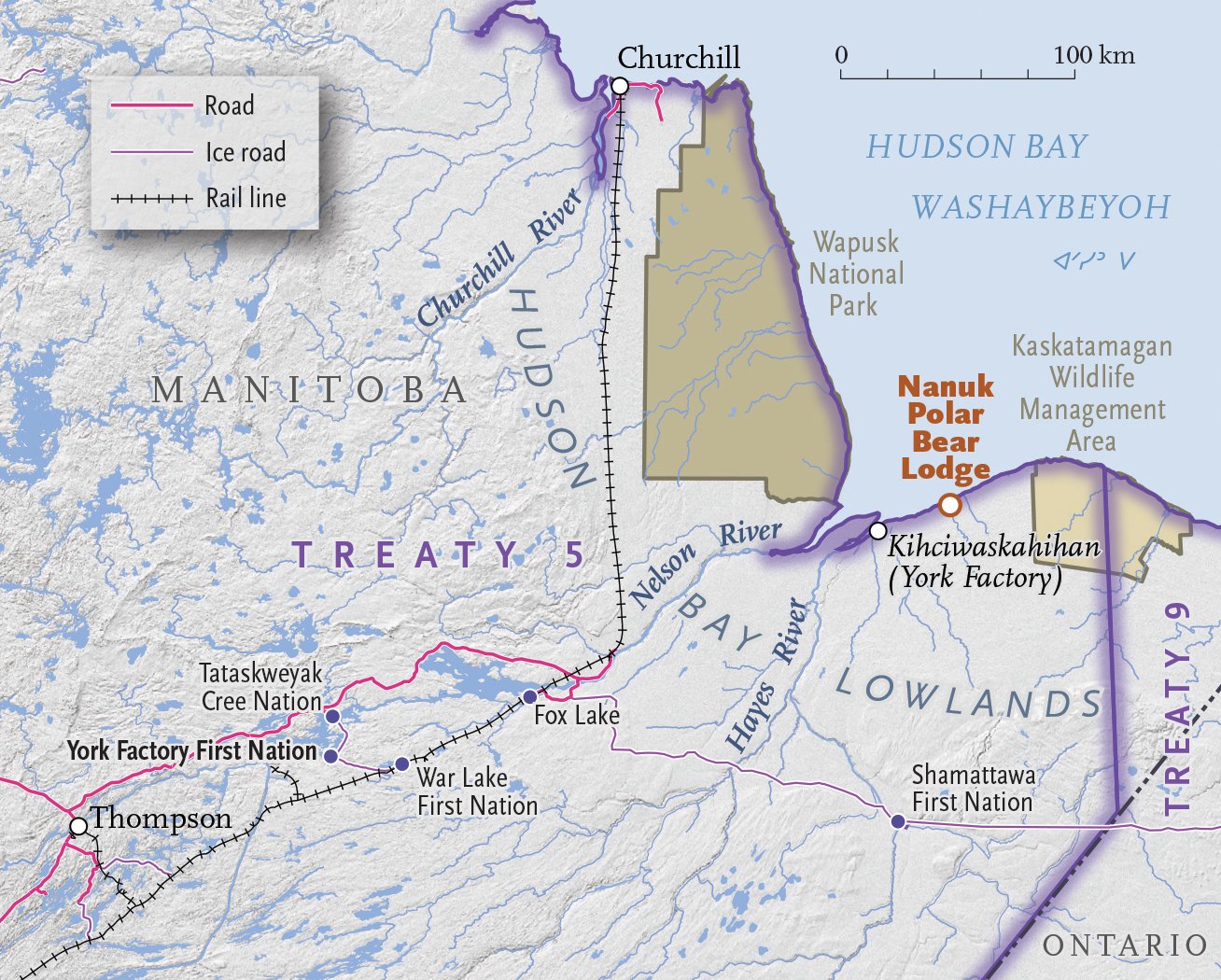 Opoyastin: Wolves of the big wind | Canadian Geographic