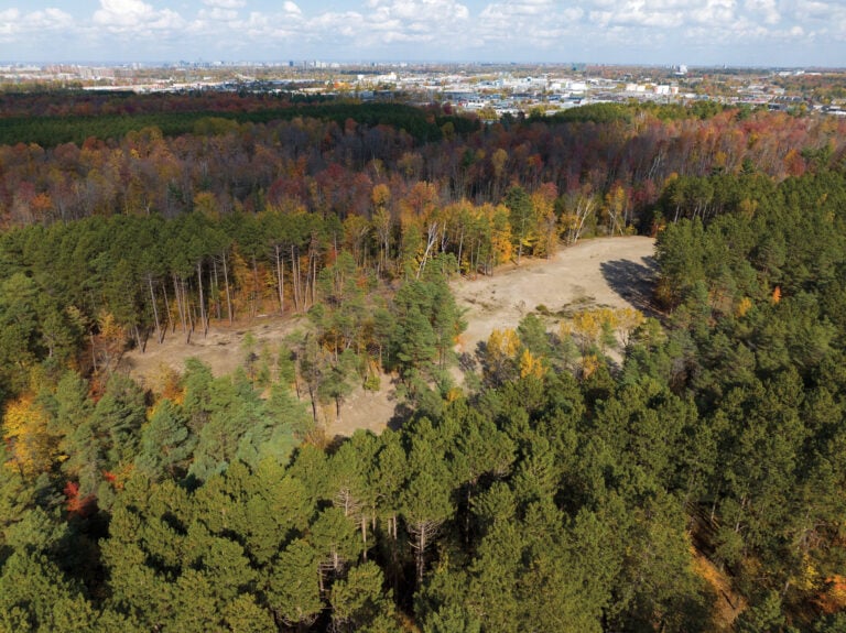 Ottawa’s Pinhey sand dunes | Canadian Geographic
