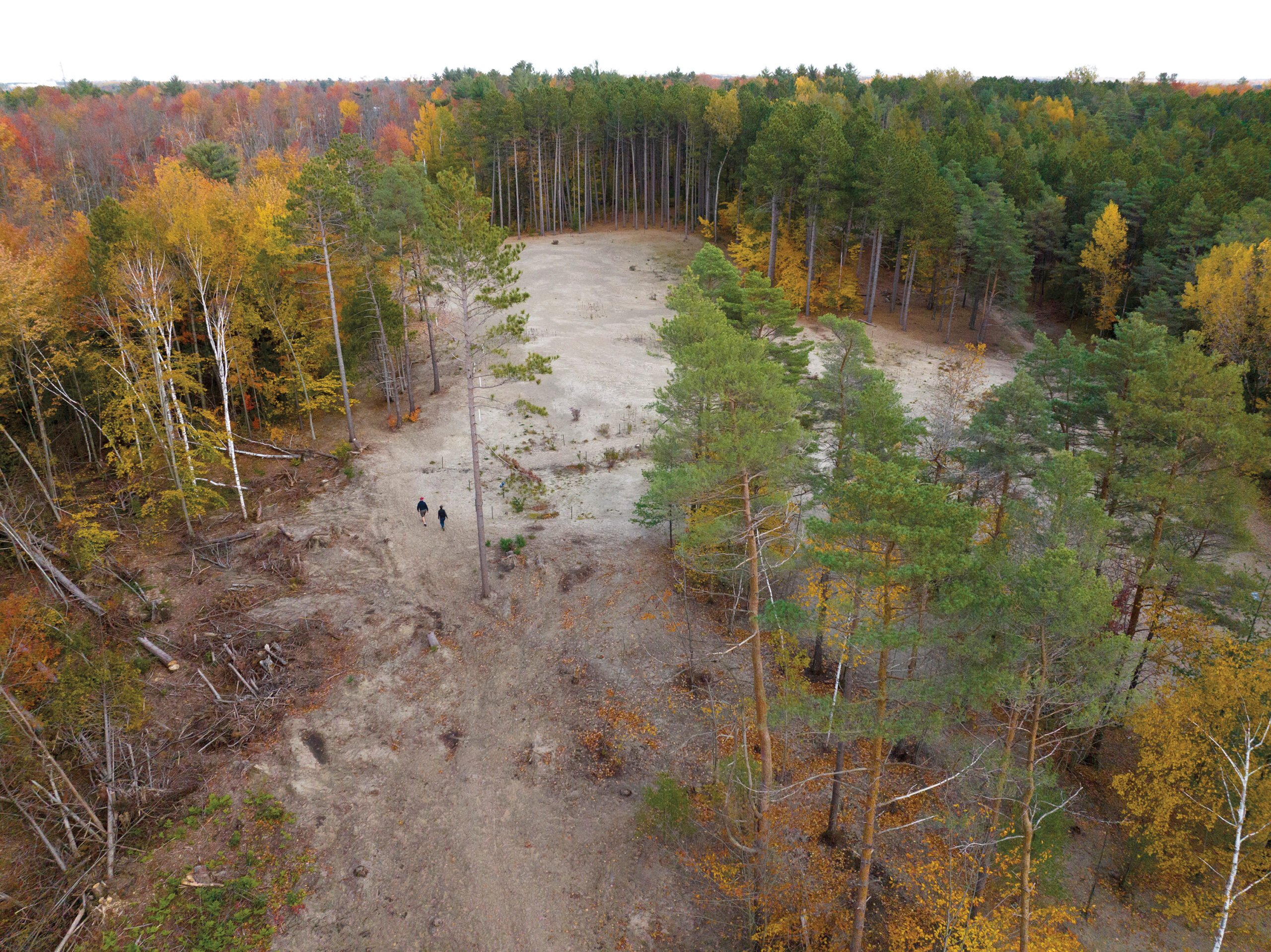 Ottawa’s Pinhey sand dunes | Canadian Geographic