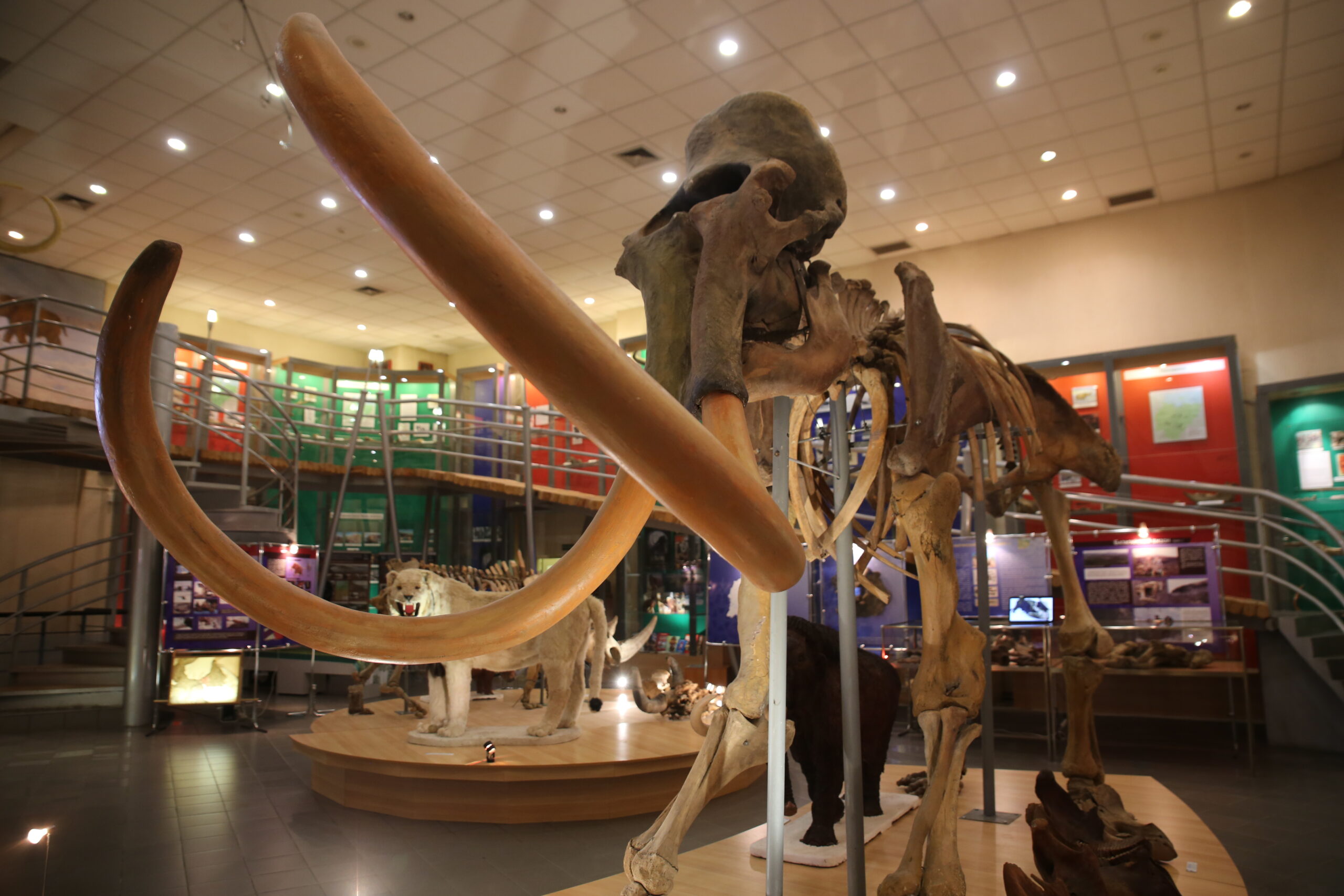 Appreciating the wonders of Alaska’s epic wilderness with George ...