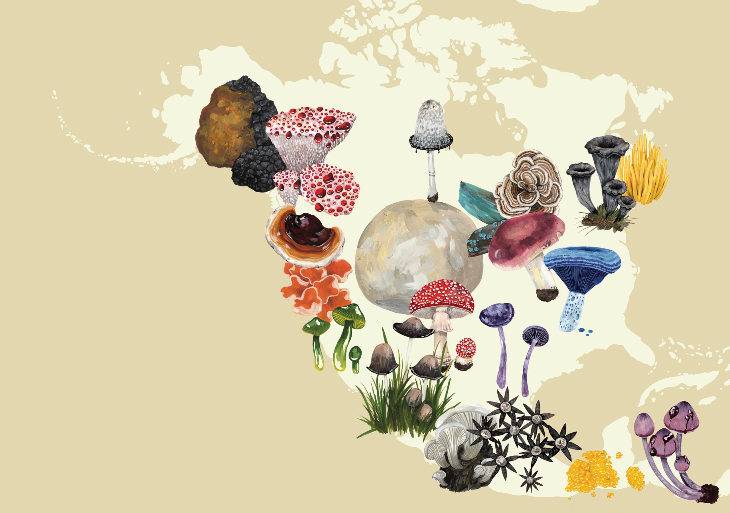 Into the fungiverse | Canadian Geographic