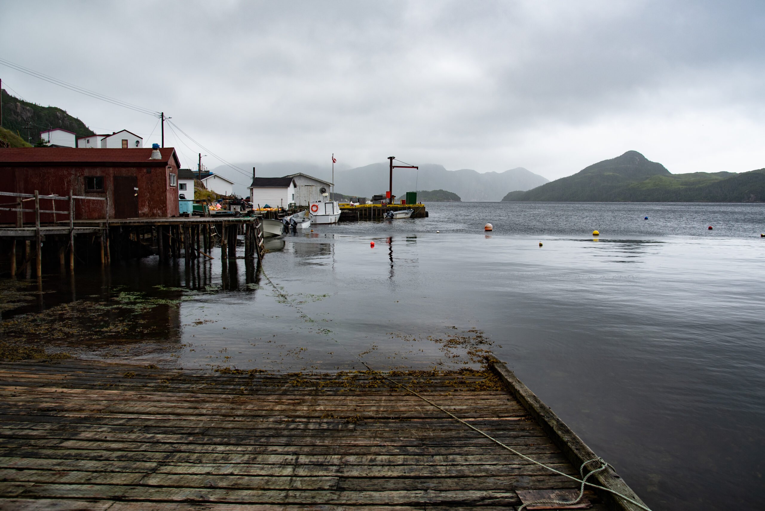 McCallum, N.L., an outport community caught between staying and going ...