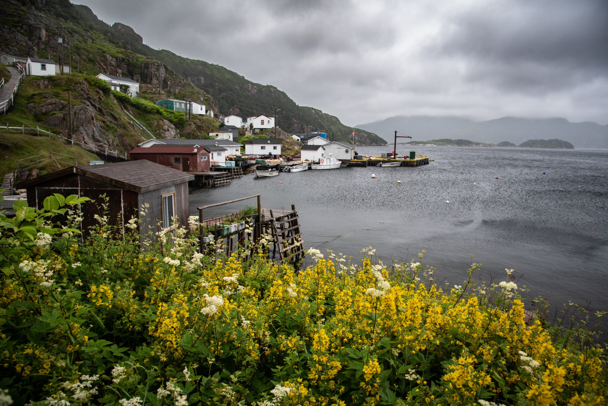 McCallum, N.L., an outport community caught between staying and going ...