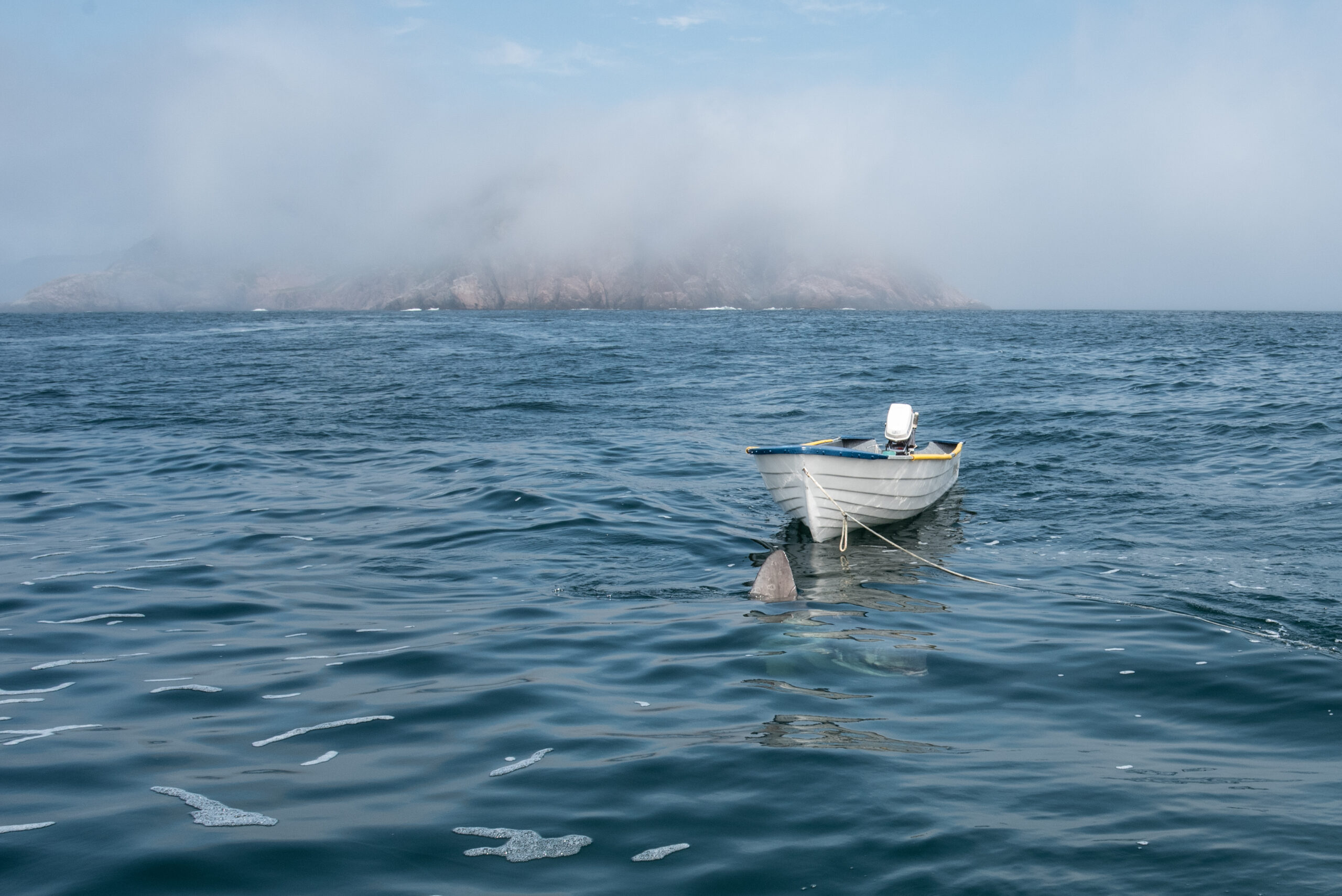 McCallum, N.L., an outport community caught between staying and going ...