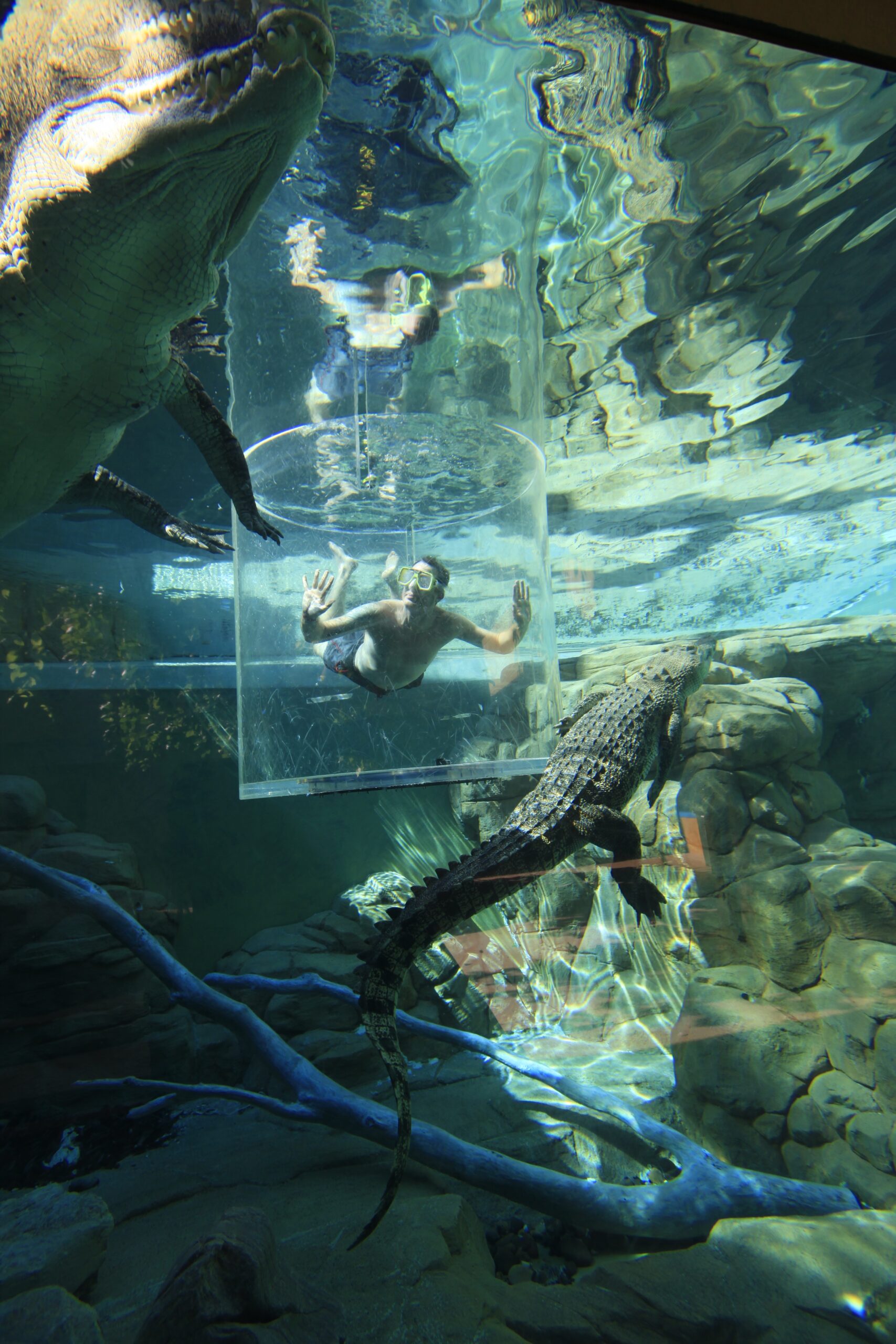 Staring down a saltwater crocodile | Canadian Geographic