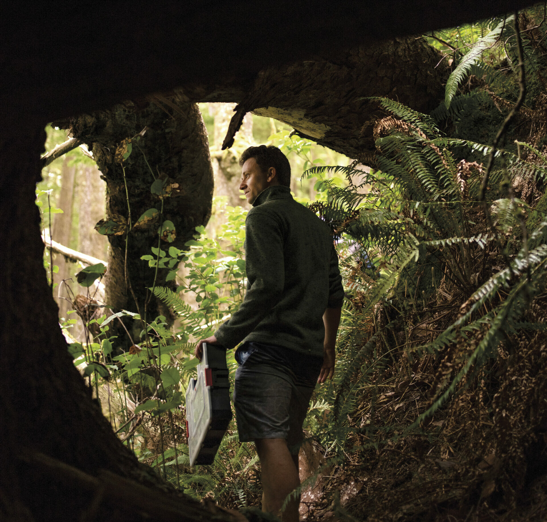 The hidden world of fungi | Canadian Geographic